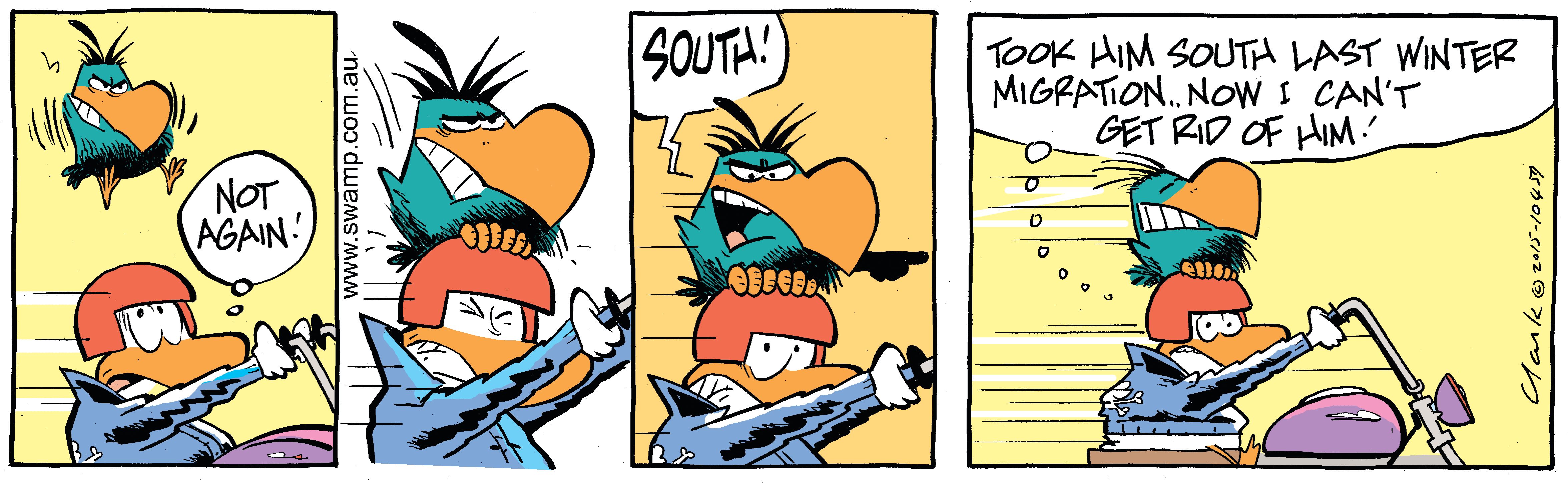 Bludgerigar Migration Comic - Swamp Cartoons