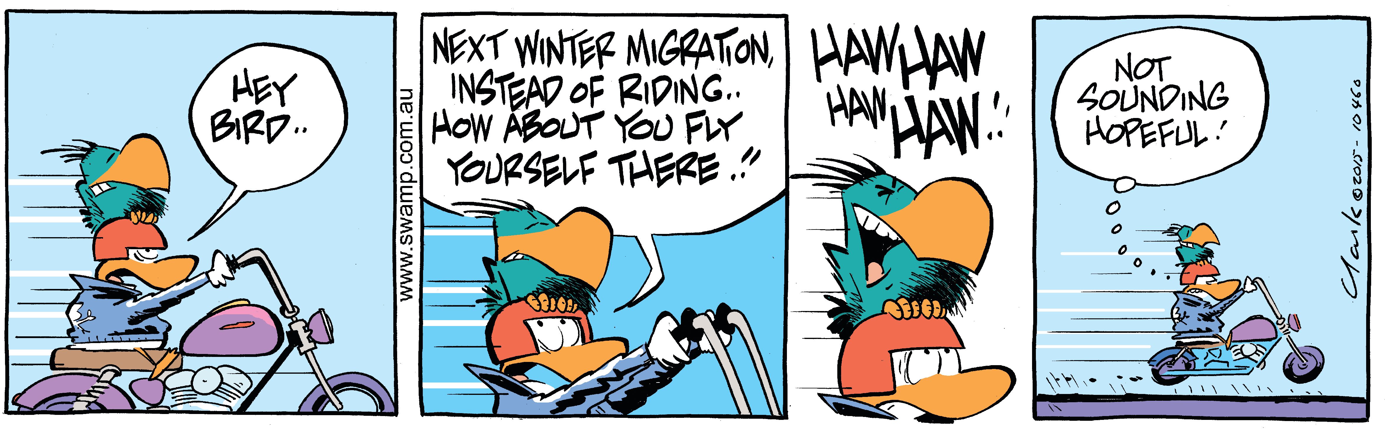 Bludgerigar Riding Wild Duck Comic - Swamp Cartoons