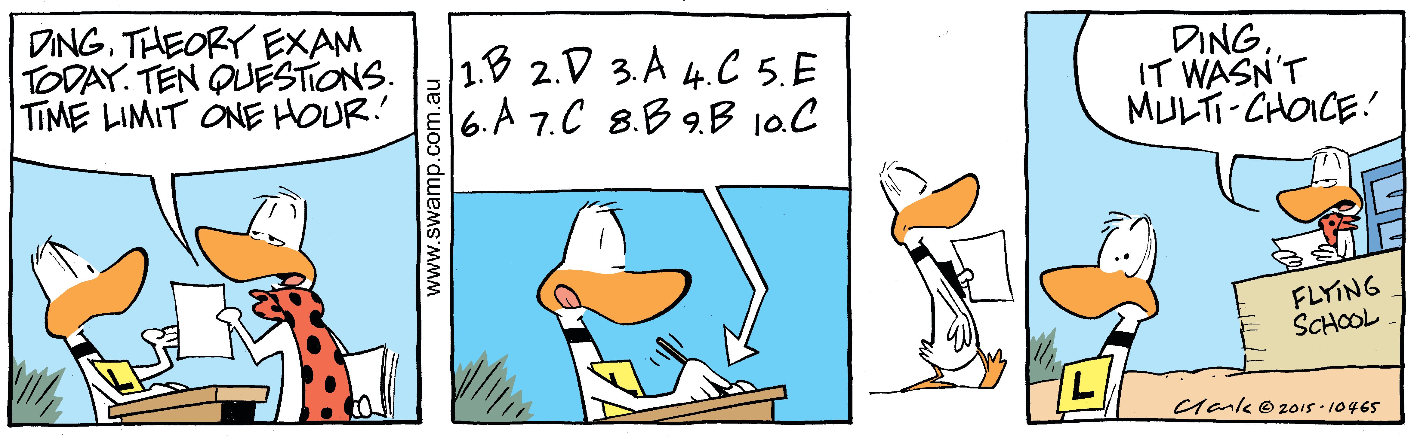 Ding Duck Multiple Choice Comic - Swamp Cartoons