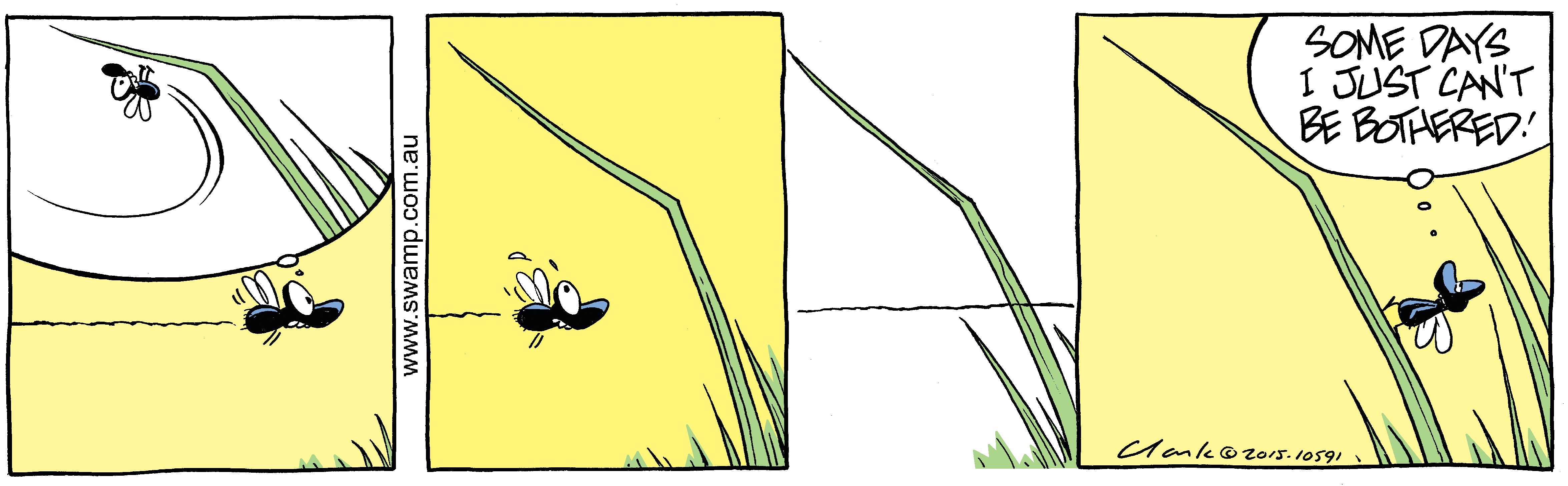 Fly Landing Comic - Swamp Cartoons