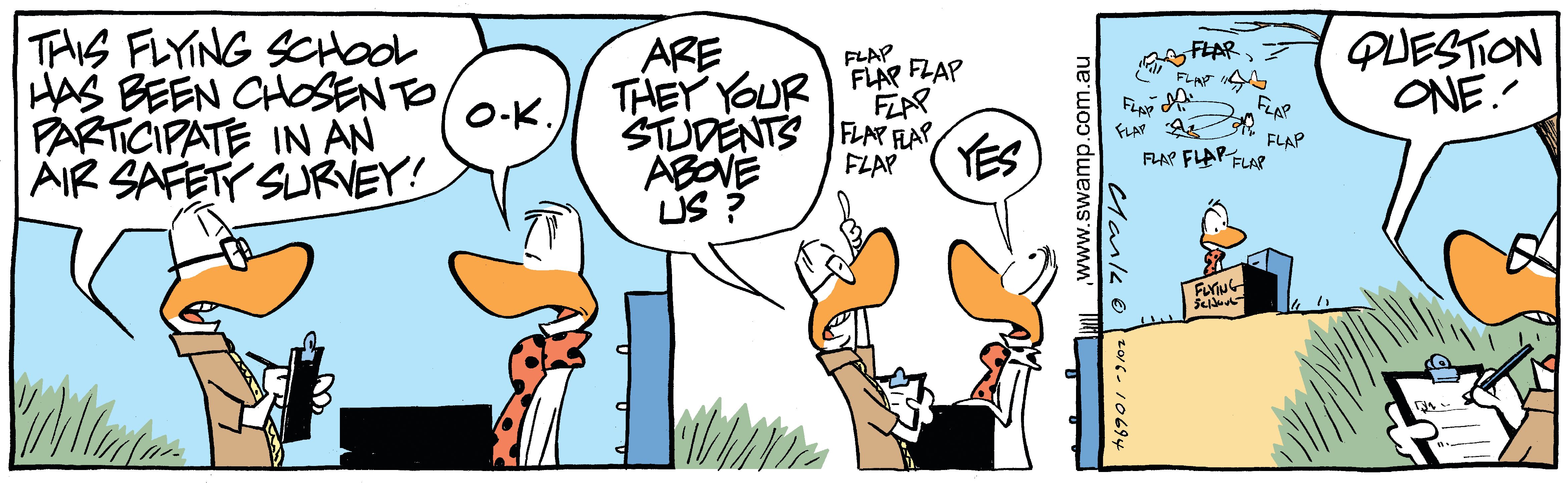 Air Safety Survey Comic - Swamp Cartoons