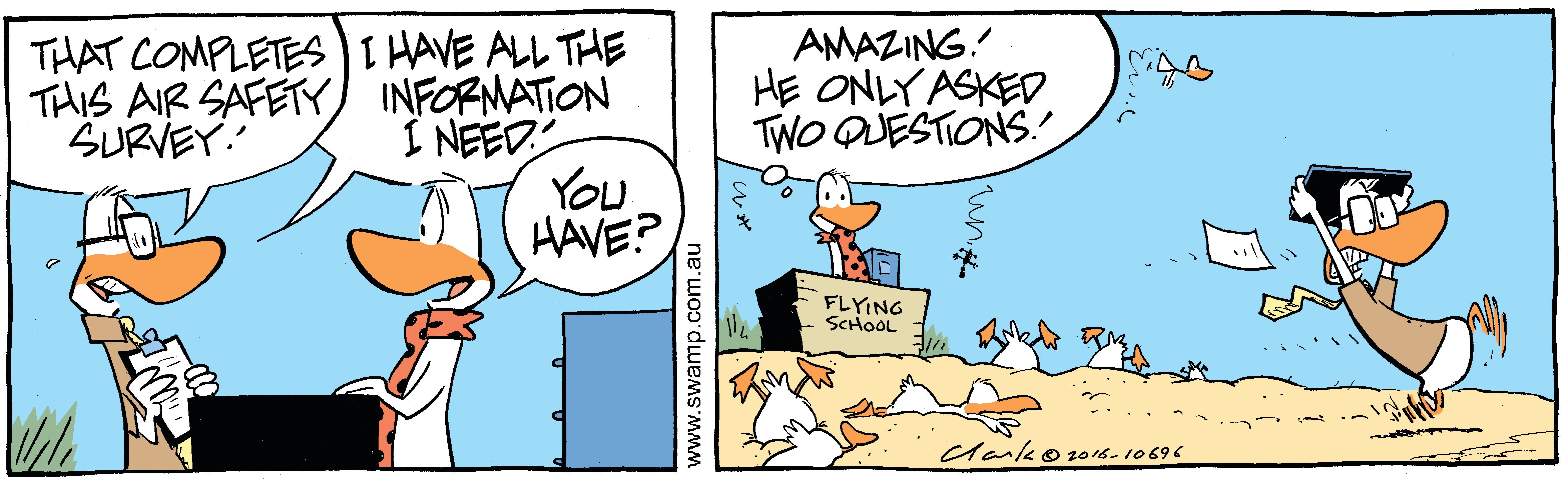 Air Safety Information Comic - Swamp Cartoons
