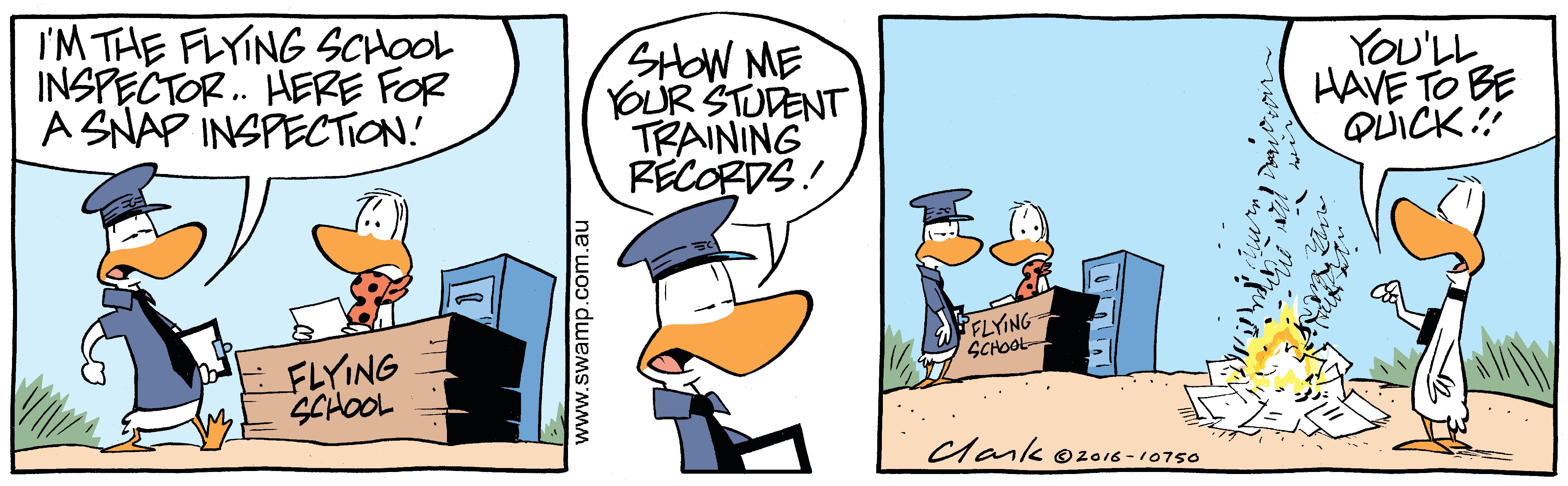 Flying School Inspector Comic - Swamp Cartoons