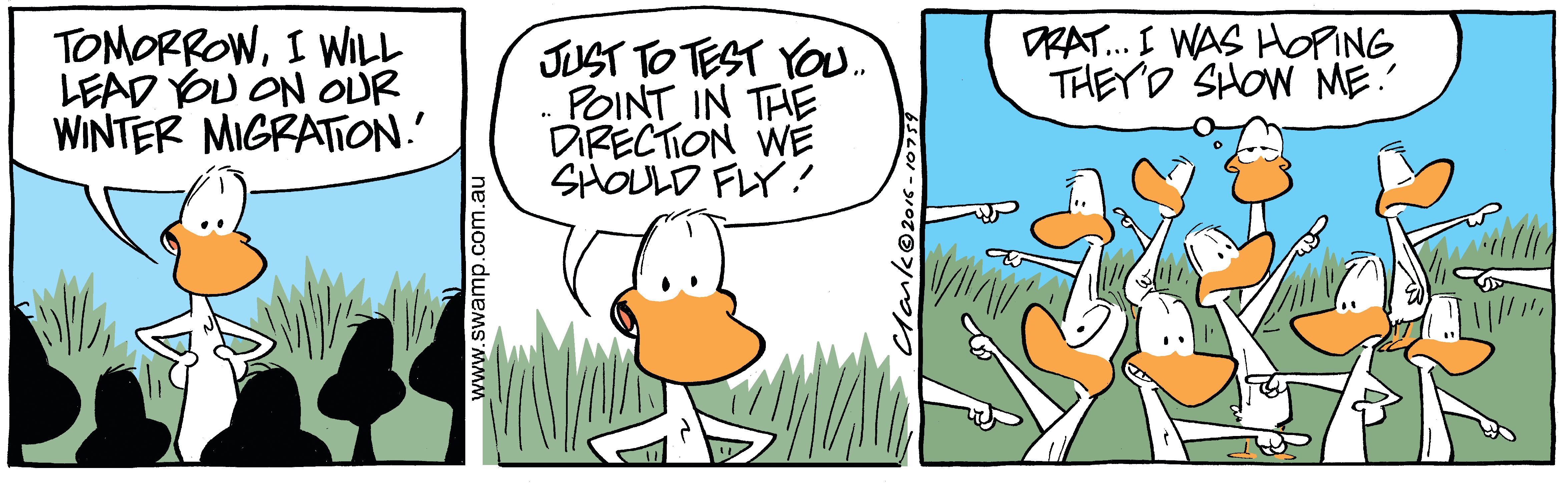 Ducks Winter Migration Comic - Swamp Cartoons