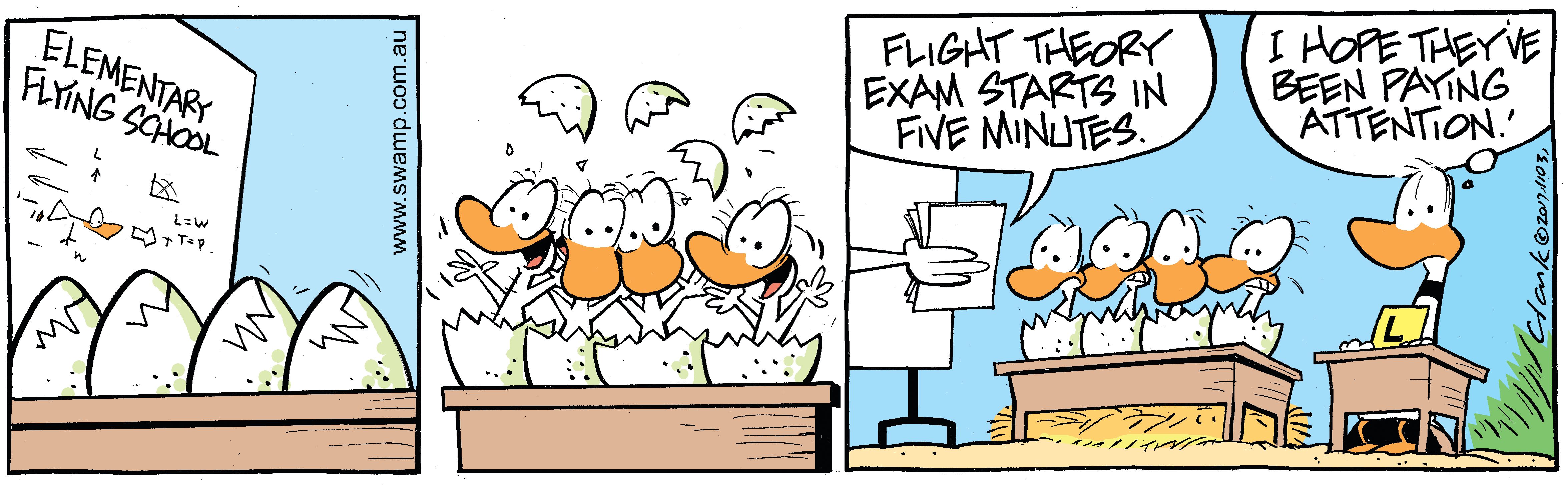 Theory Exam Starts Comic - Swamp Cartoons