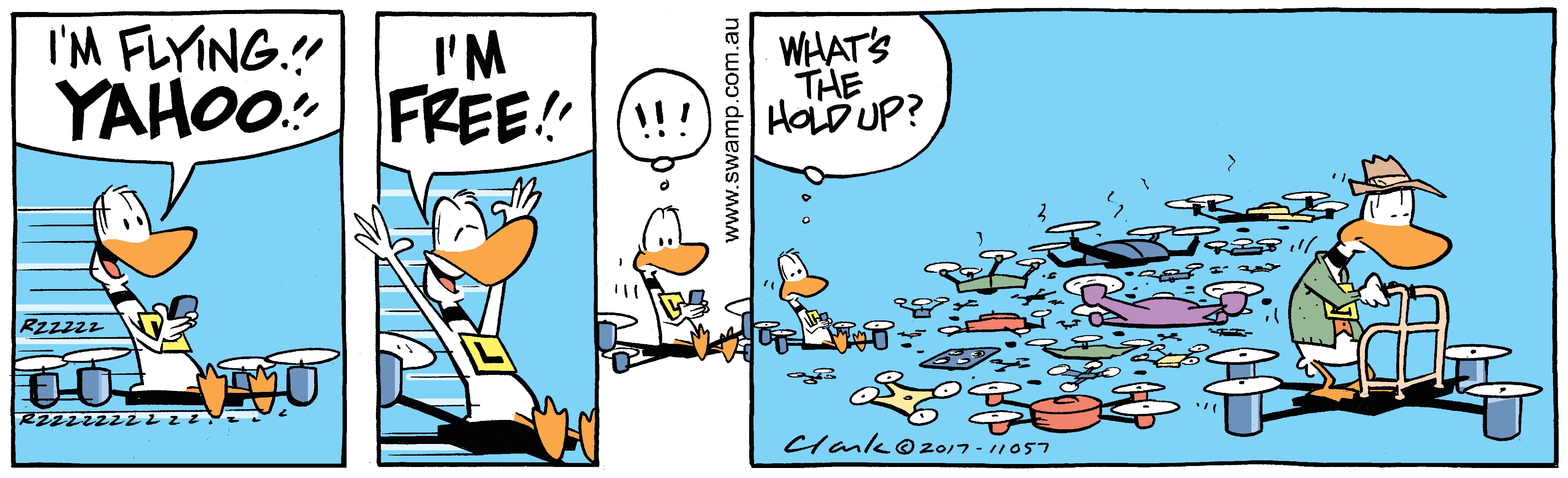 Ding Duck Hold Up Comic - Swamp Cartoons