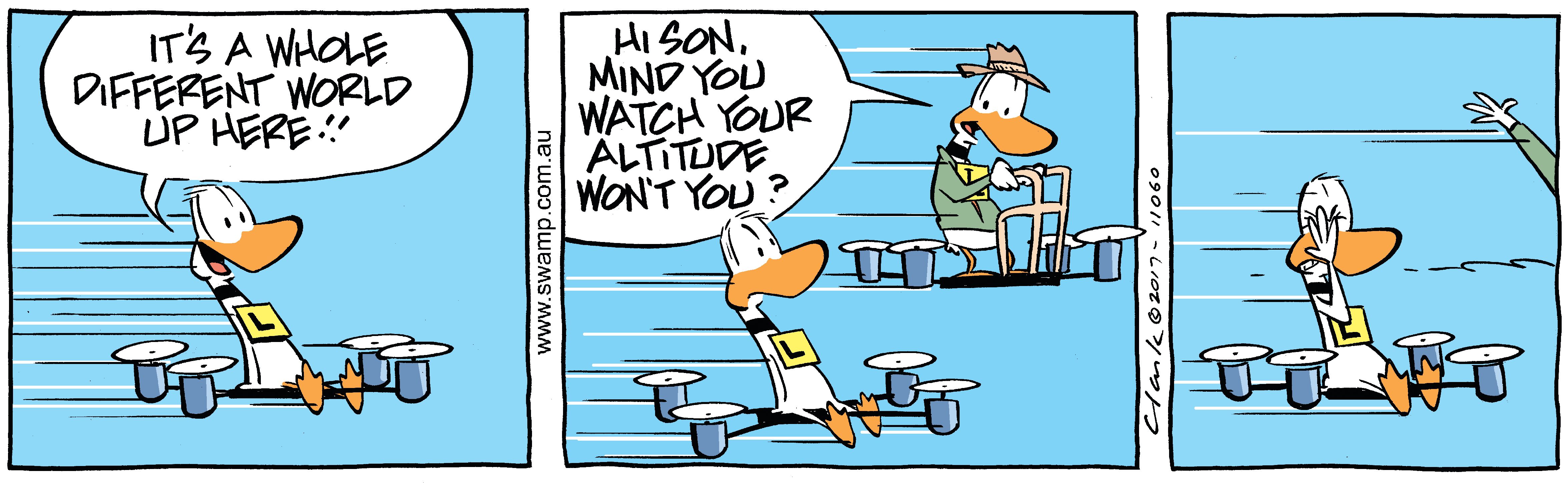 Ding Duck Altitude Comic - Swamp Cartoons