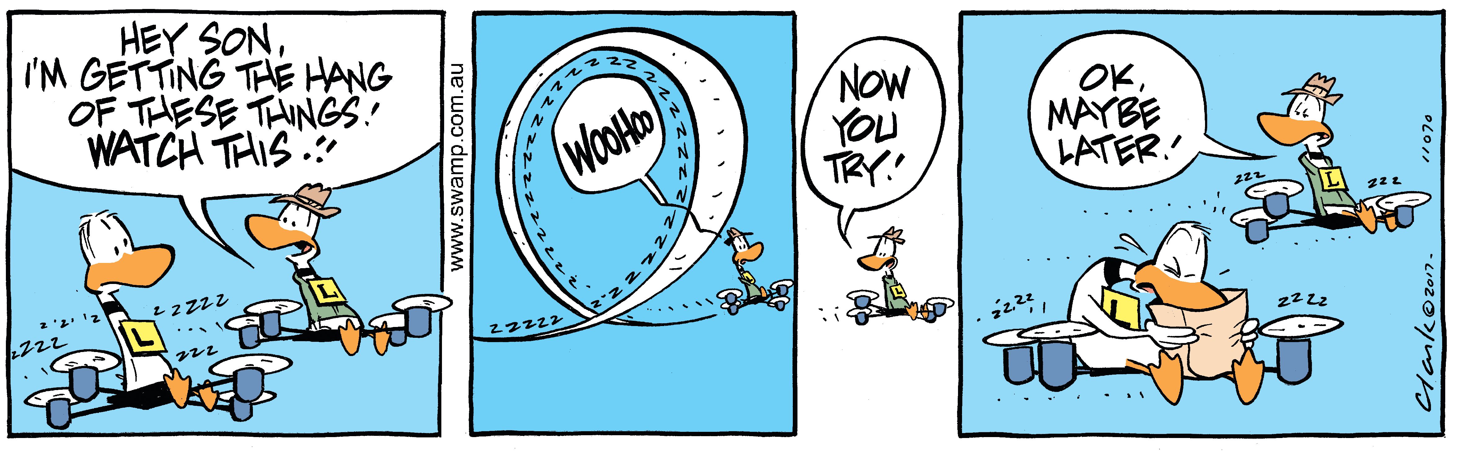 Ding Duck Airsick Comic - Swamp Cartoons