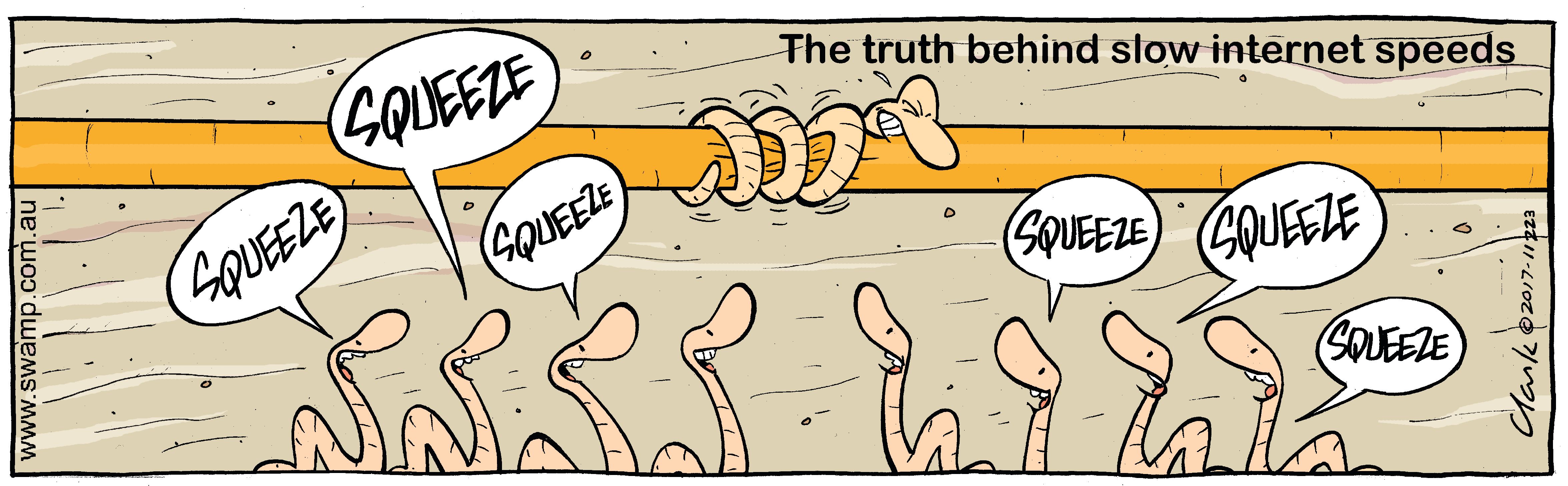 Swamp Internet Speed Comic - Swamp Cartoons