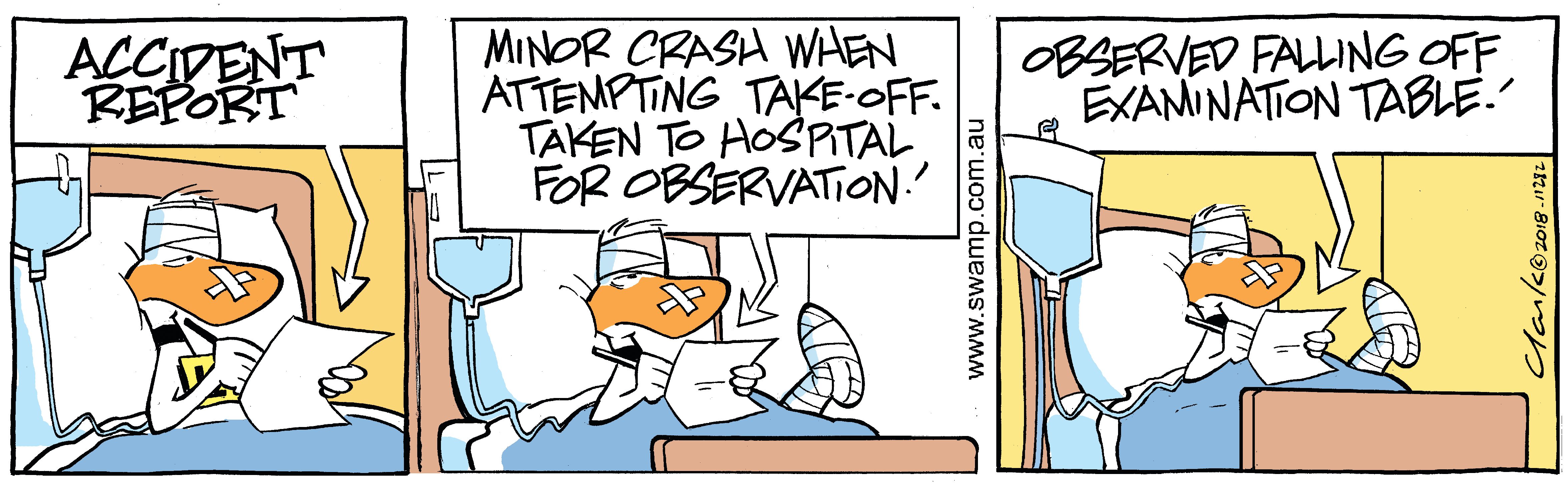 Ding Duck Observation Comic - Swamp Cartoons