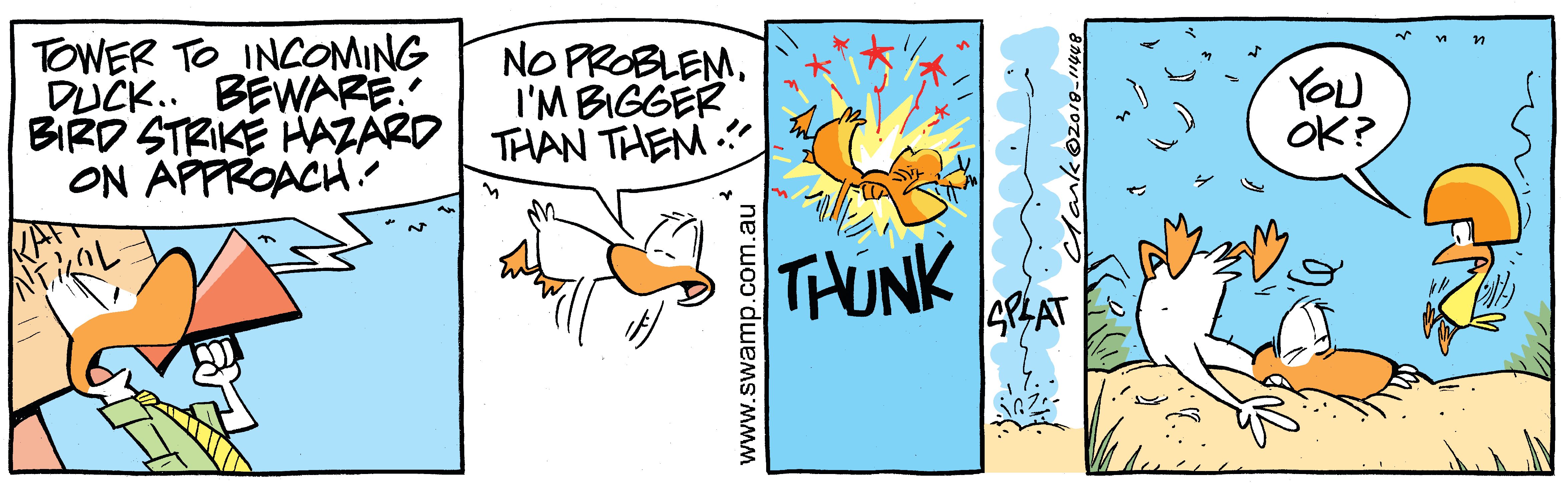 Bird Strike Hazard Comic - Swamp Cartoons