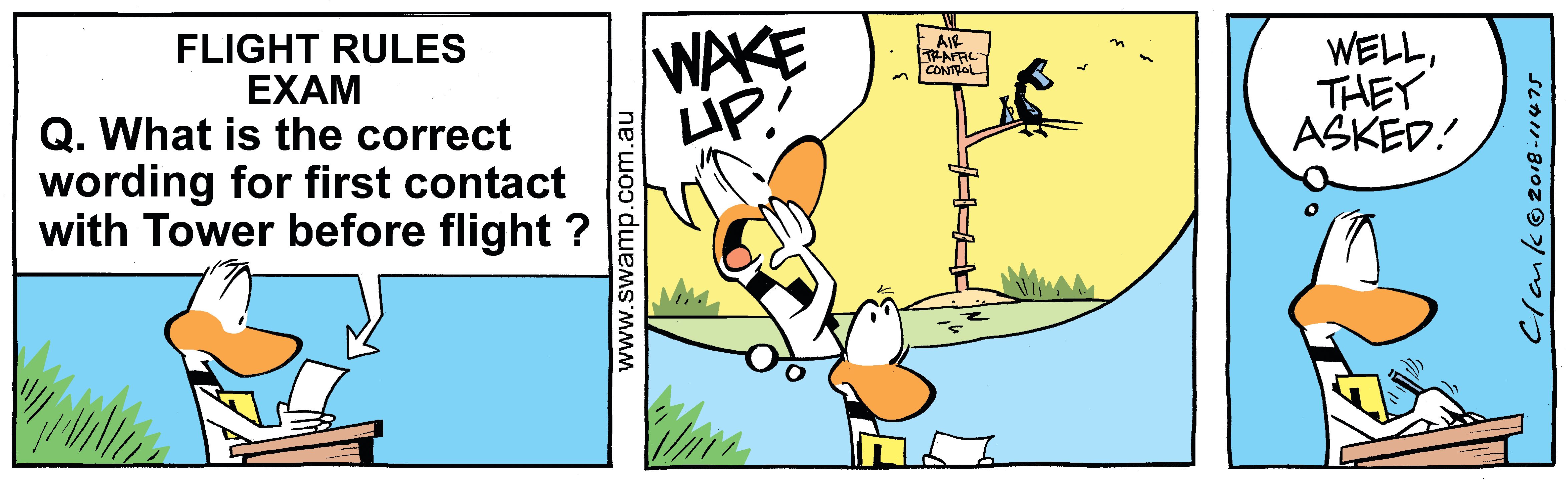 Ding Duck Tower Contact - Swamp Cartoons