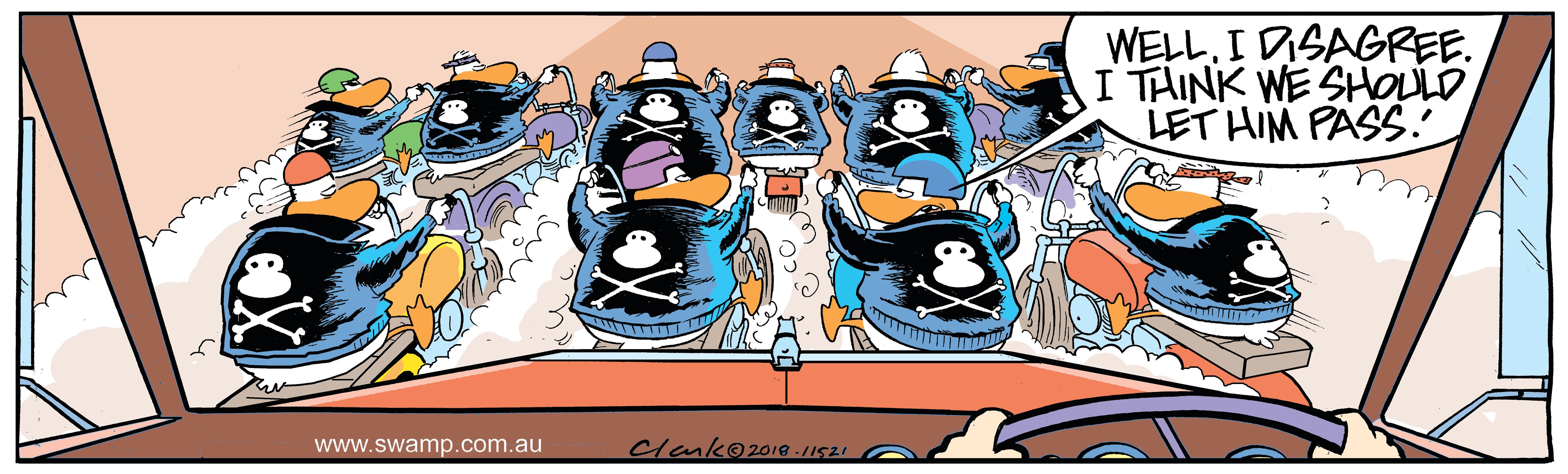 Wild Ducks Pass Comic Swamp Cartoons