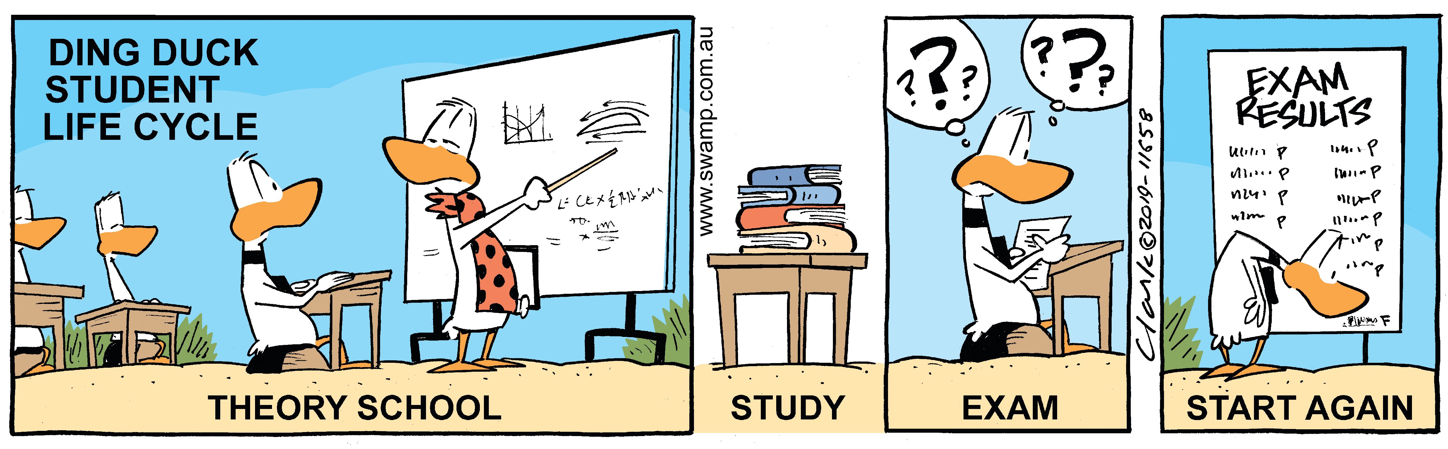 Ding Duck Student Life Cycle - Swamp Cartoons