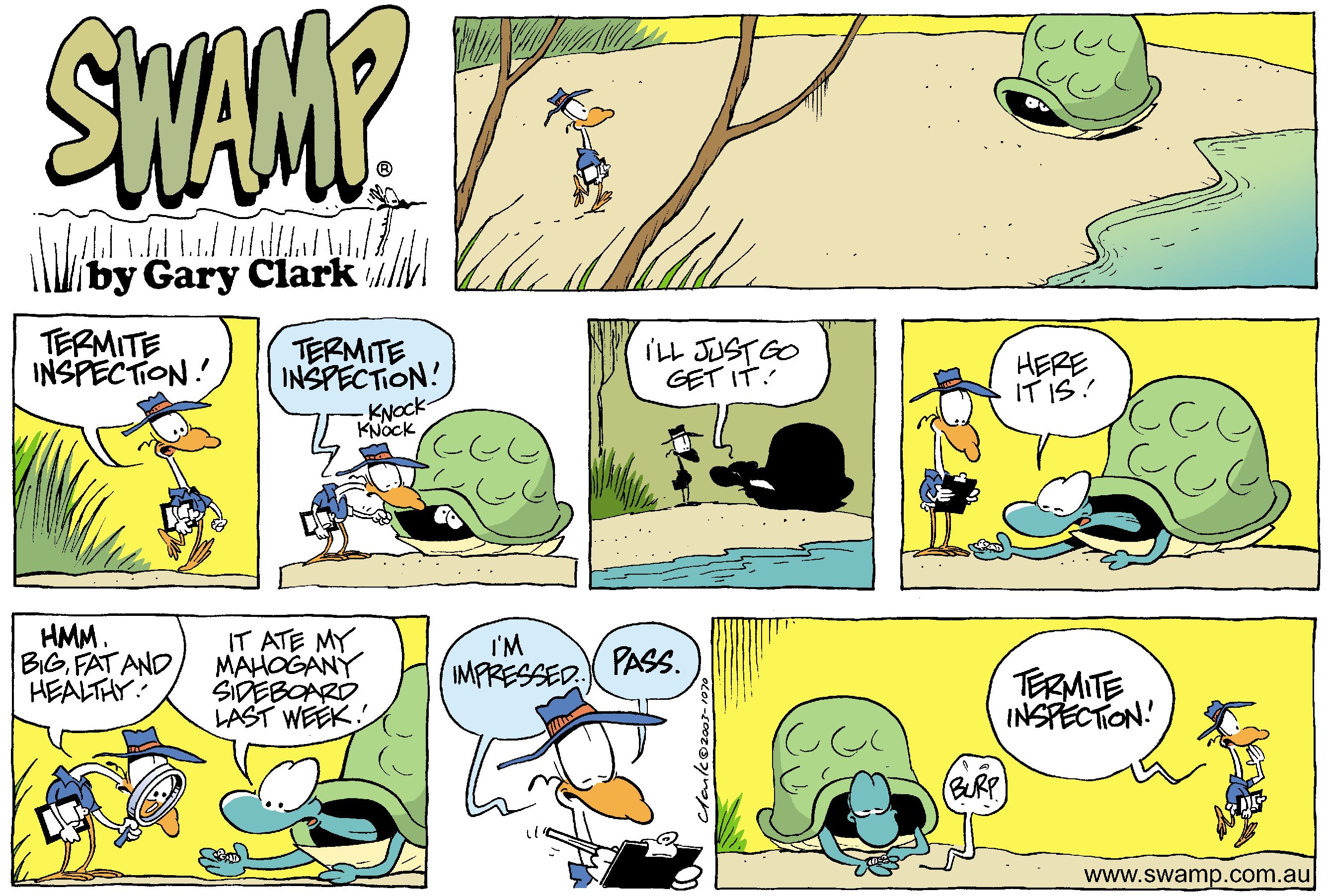 Termite Inspection - Swamp Cartoons