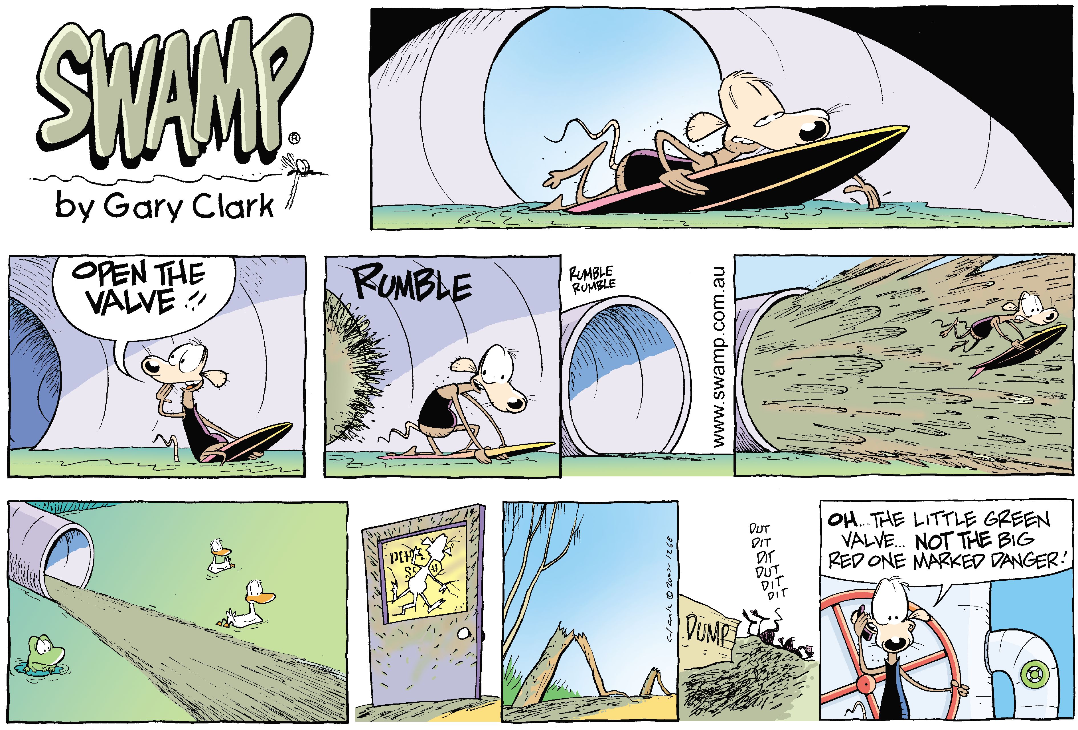 Surfs Up - Swamp Cartoons