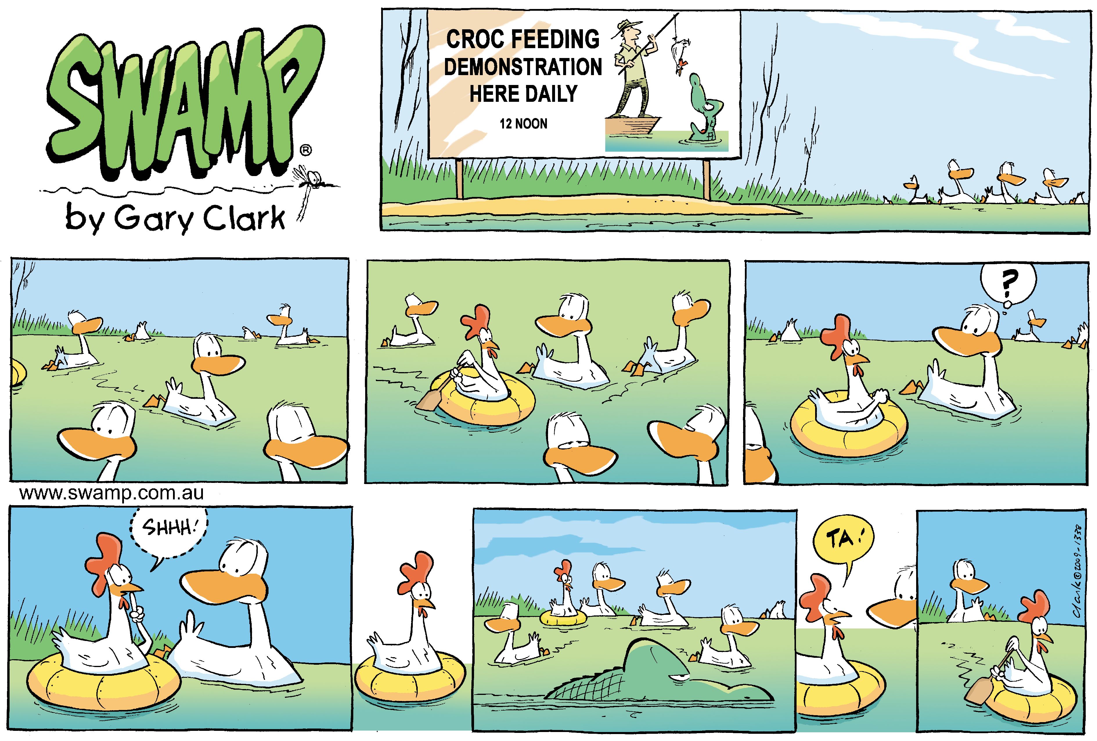 Chickens - Swamp Cartoons