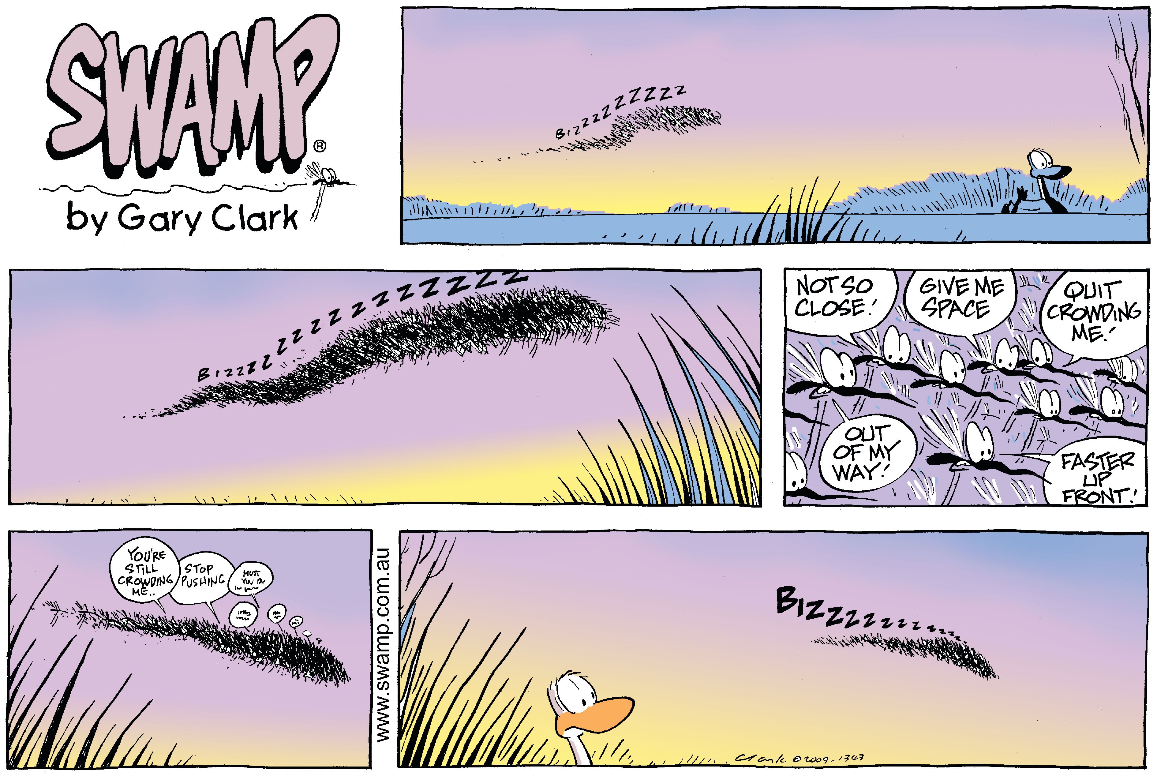 What's in a Swarm? - Swamp Cartoons