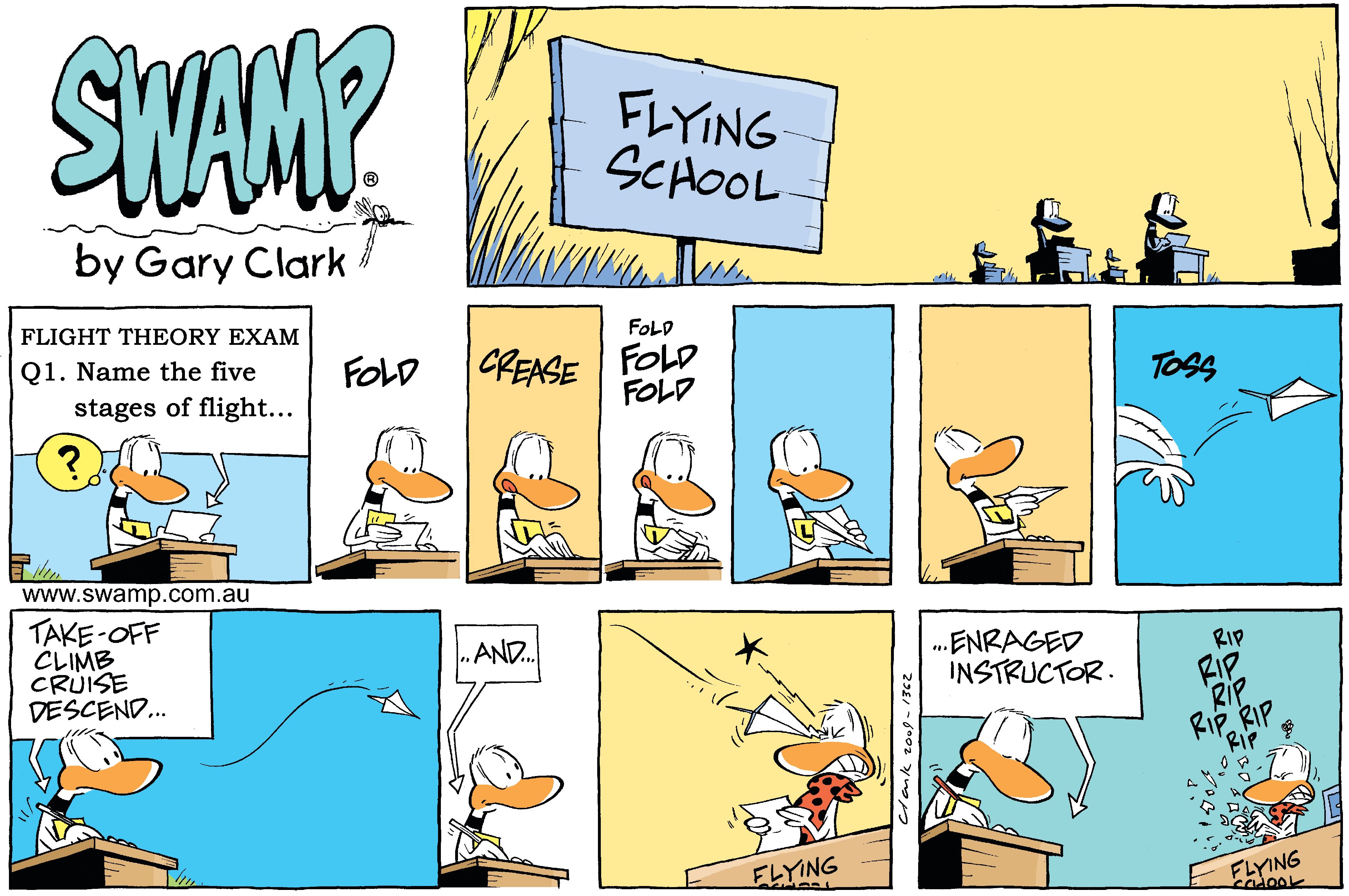 Lesson Learned - Swamp Cartoons