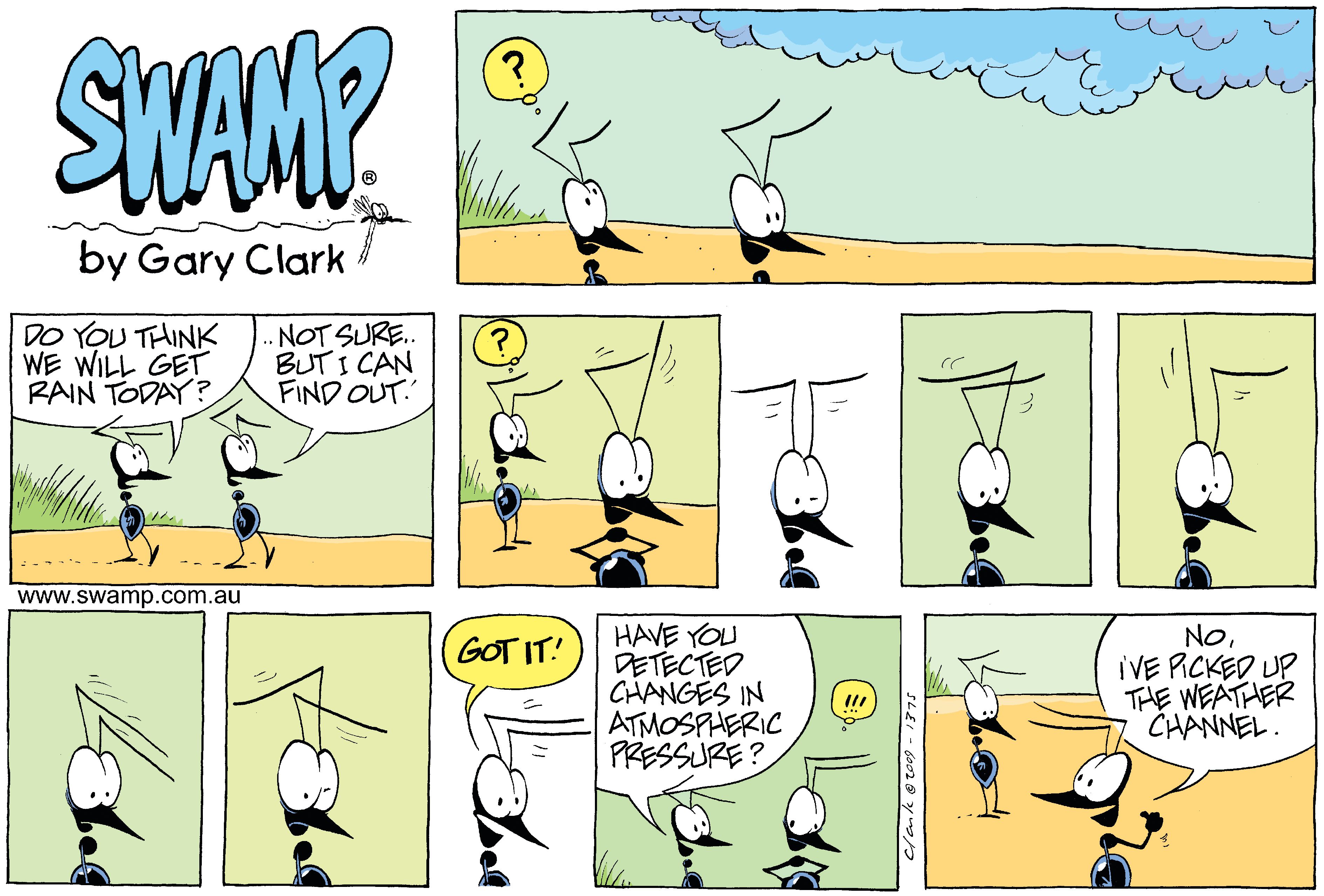 Radar Revision - Swamp Cartoons