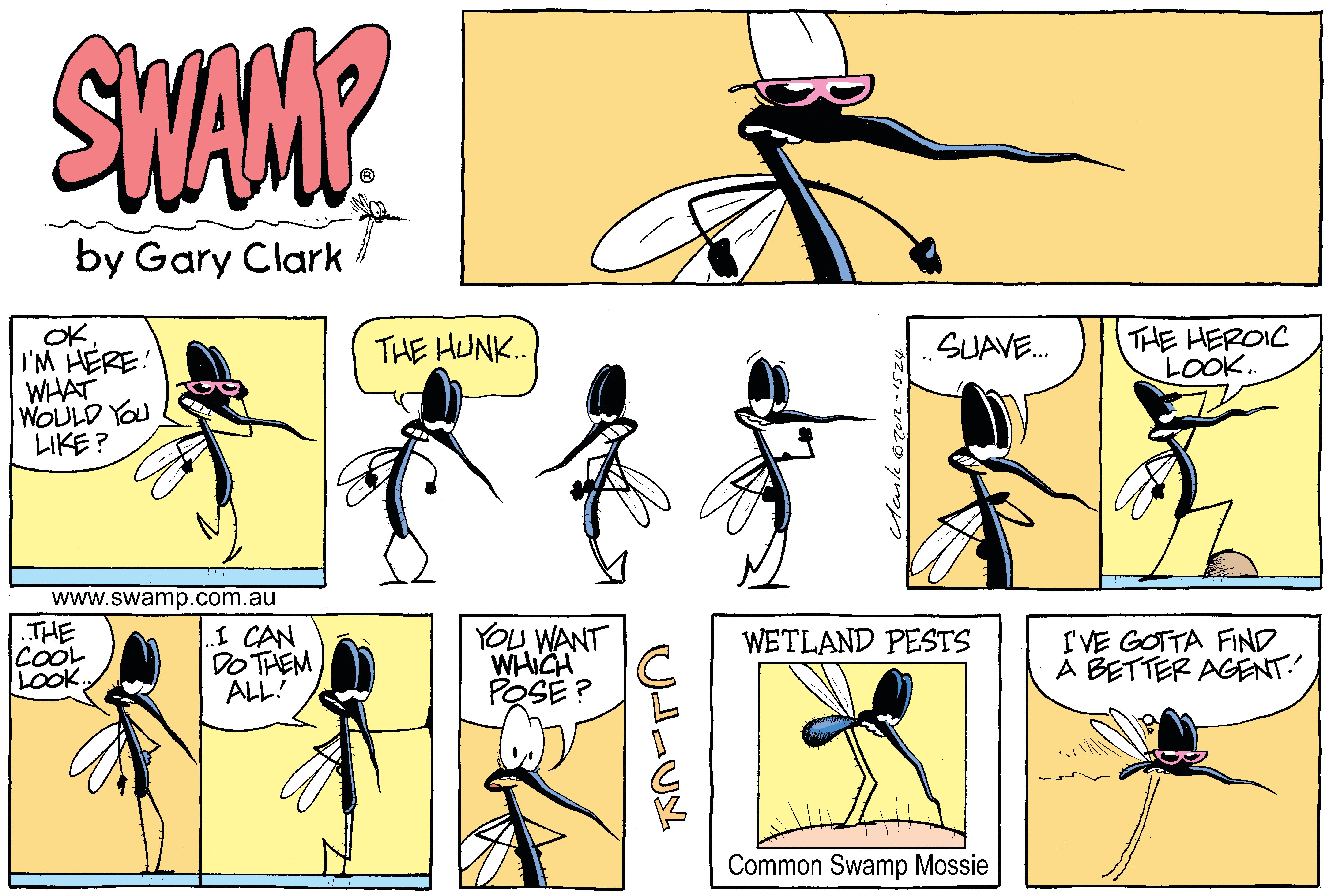 The Look Comic - Swamp Cartoons