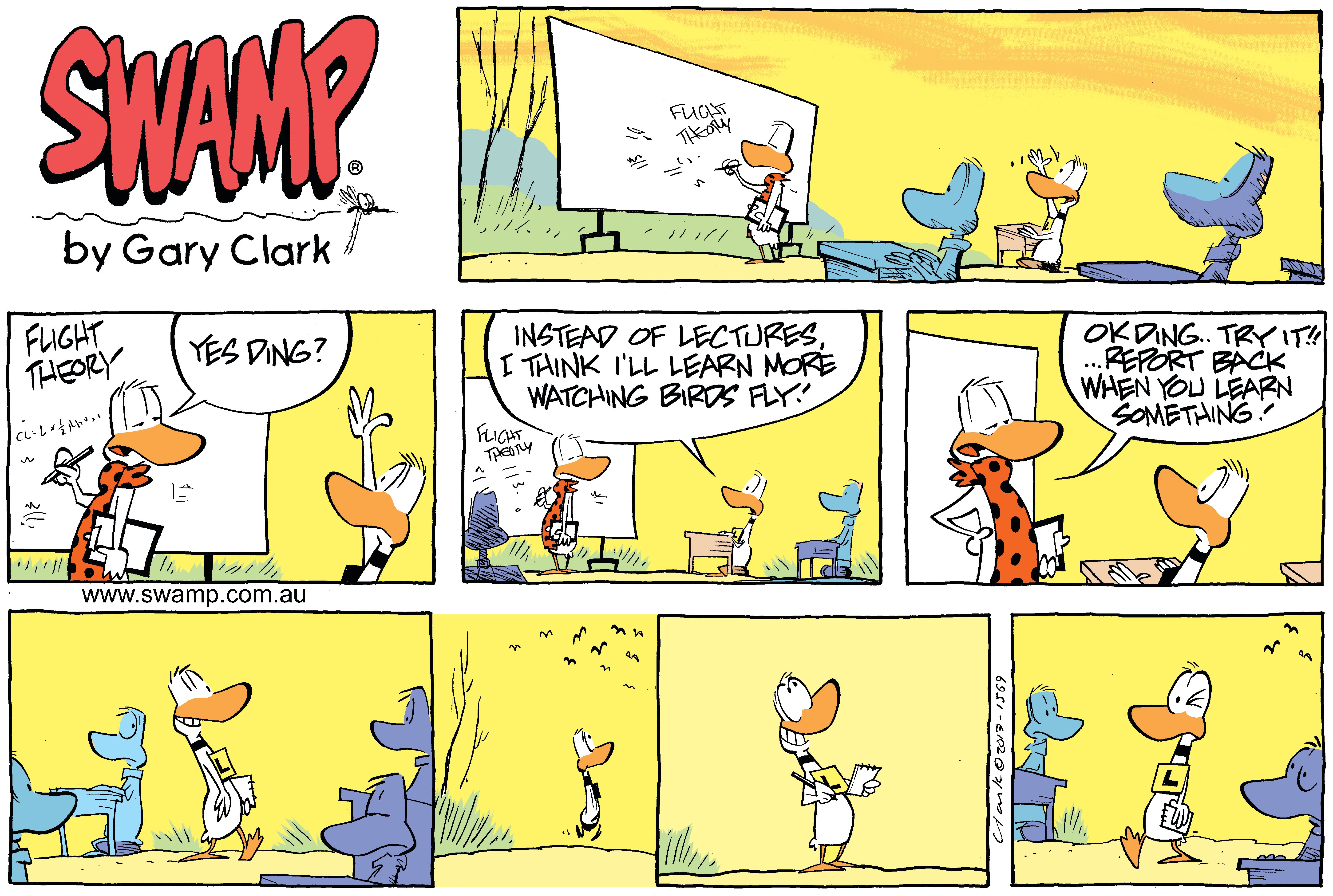 Life Experience Cartoon - Swamp Cartoons