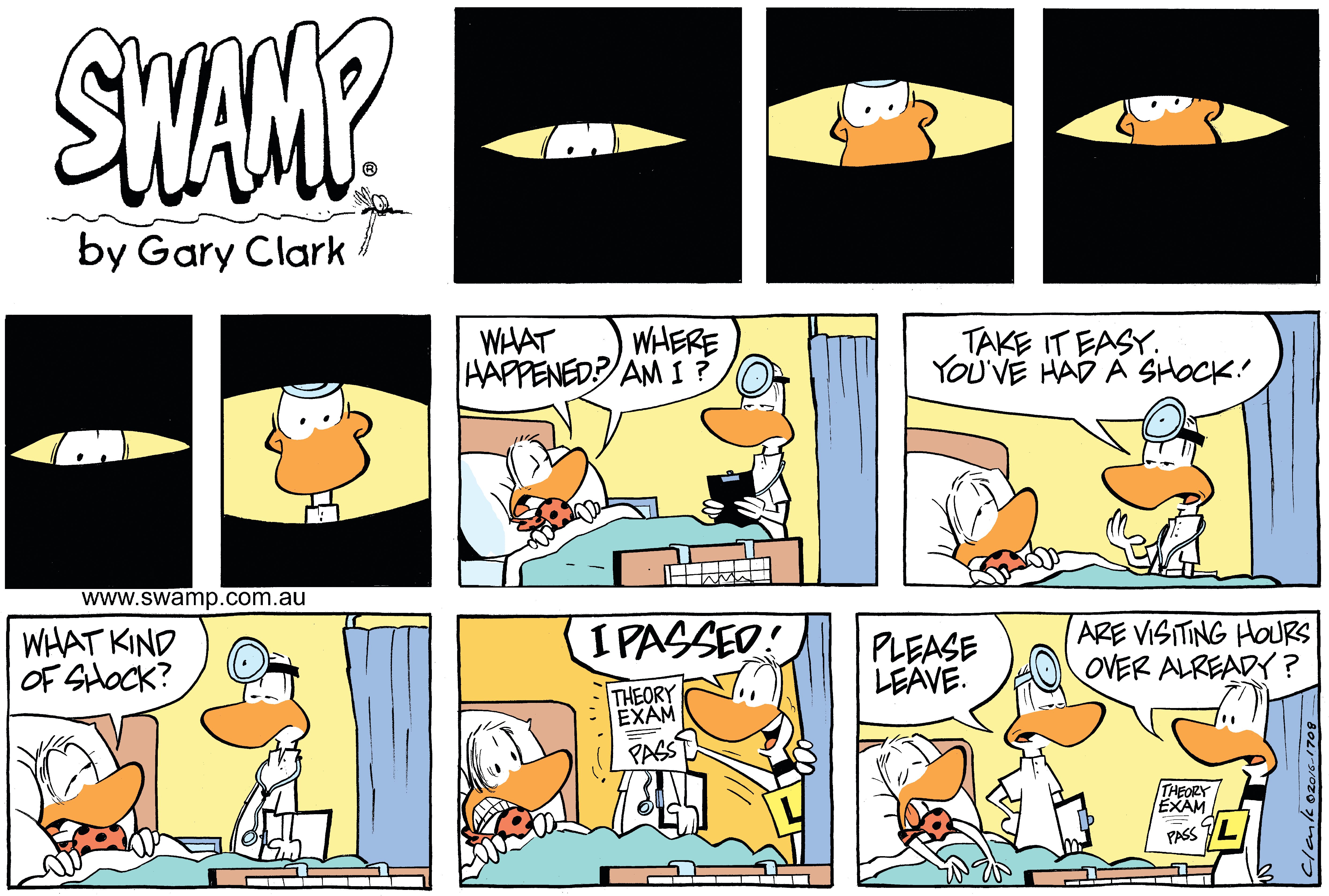 Flight Instructor Shock Comic - Swamp Cartoons