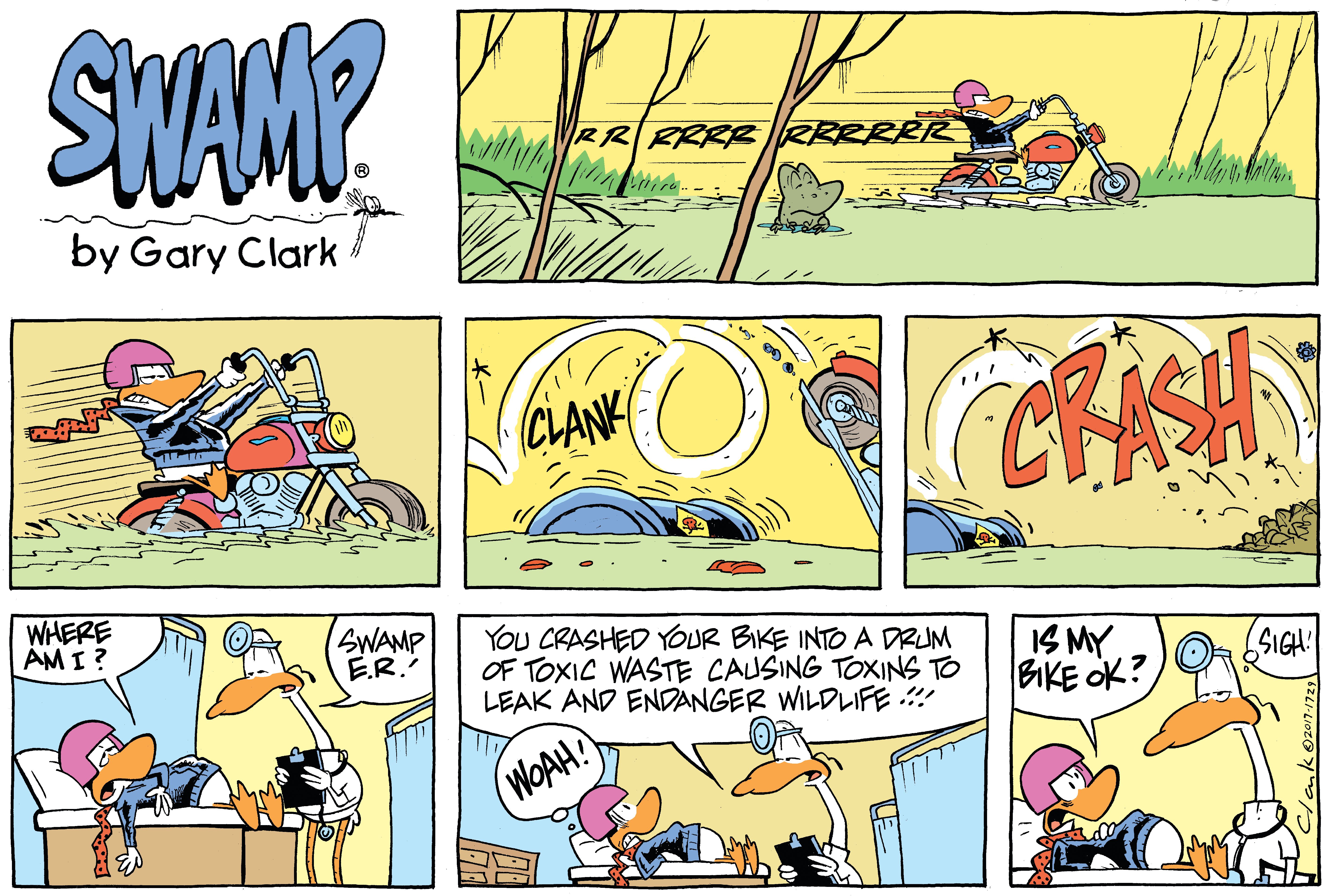 Wild Duck Hospital Comic - Swamp Cartoons