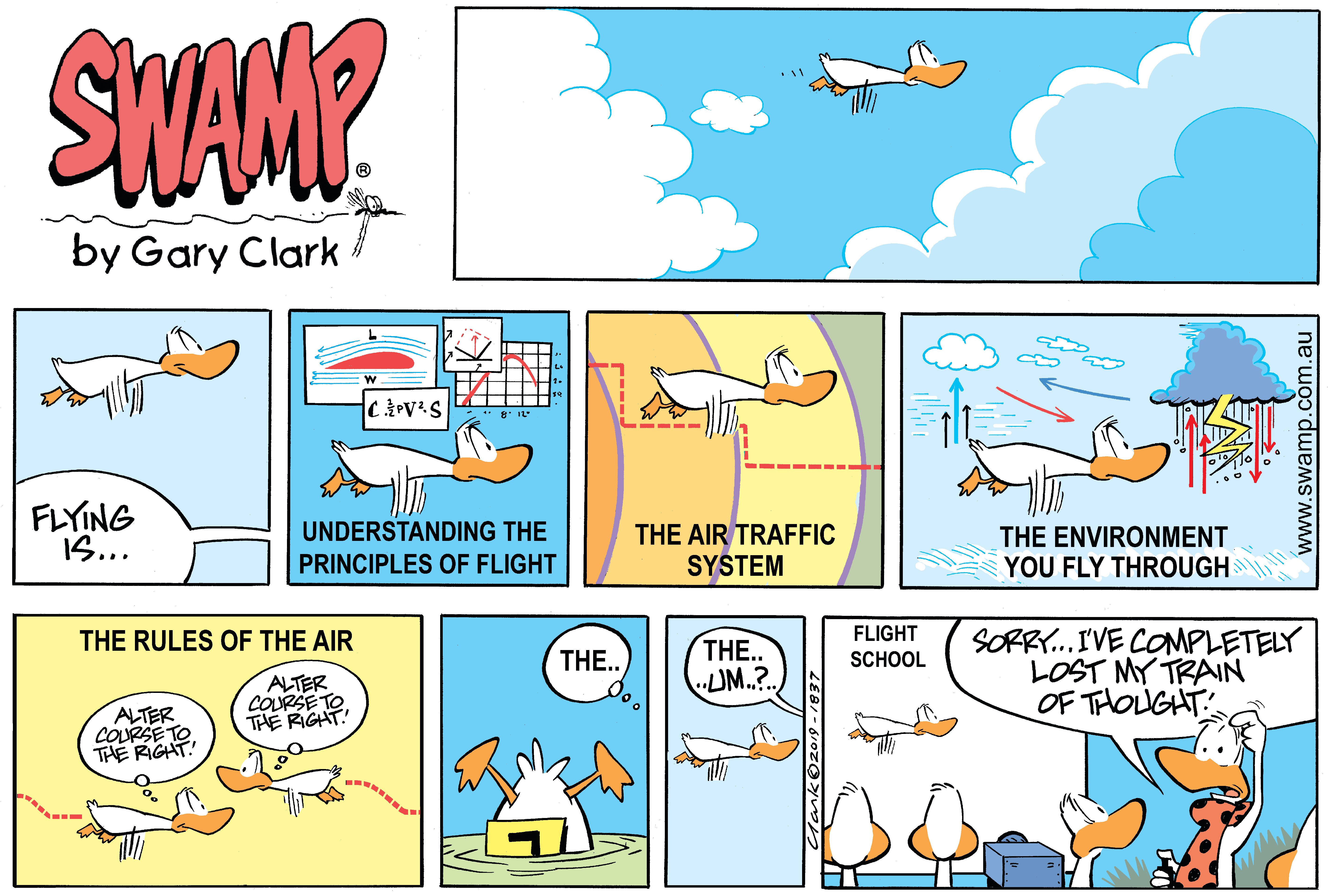 Flight Theory Instructor Befuddled Comic - Swamp Cartoons