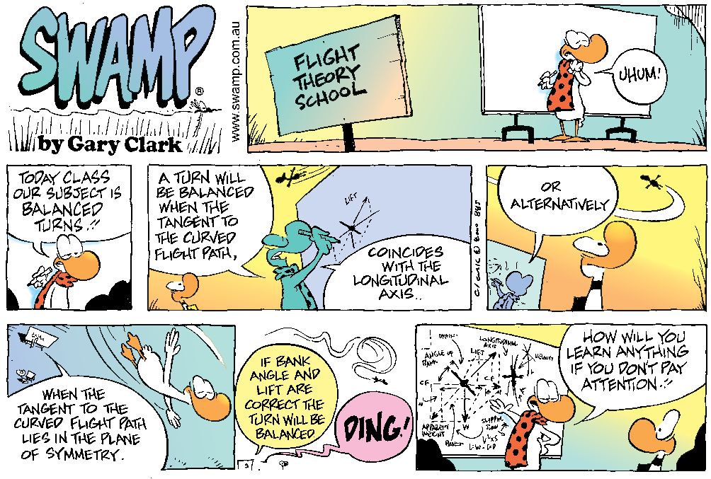 Flight Theory Lesson Comic - Swamp Cartoons