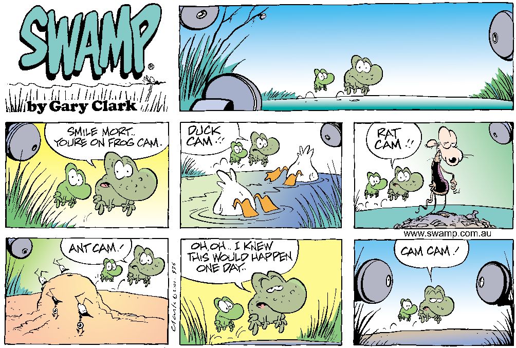 Swamp Cam - Swamp Cartoons