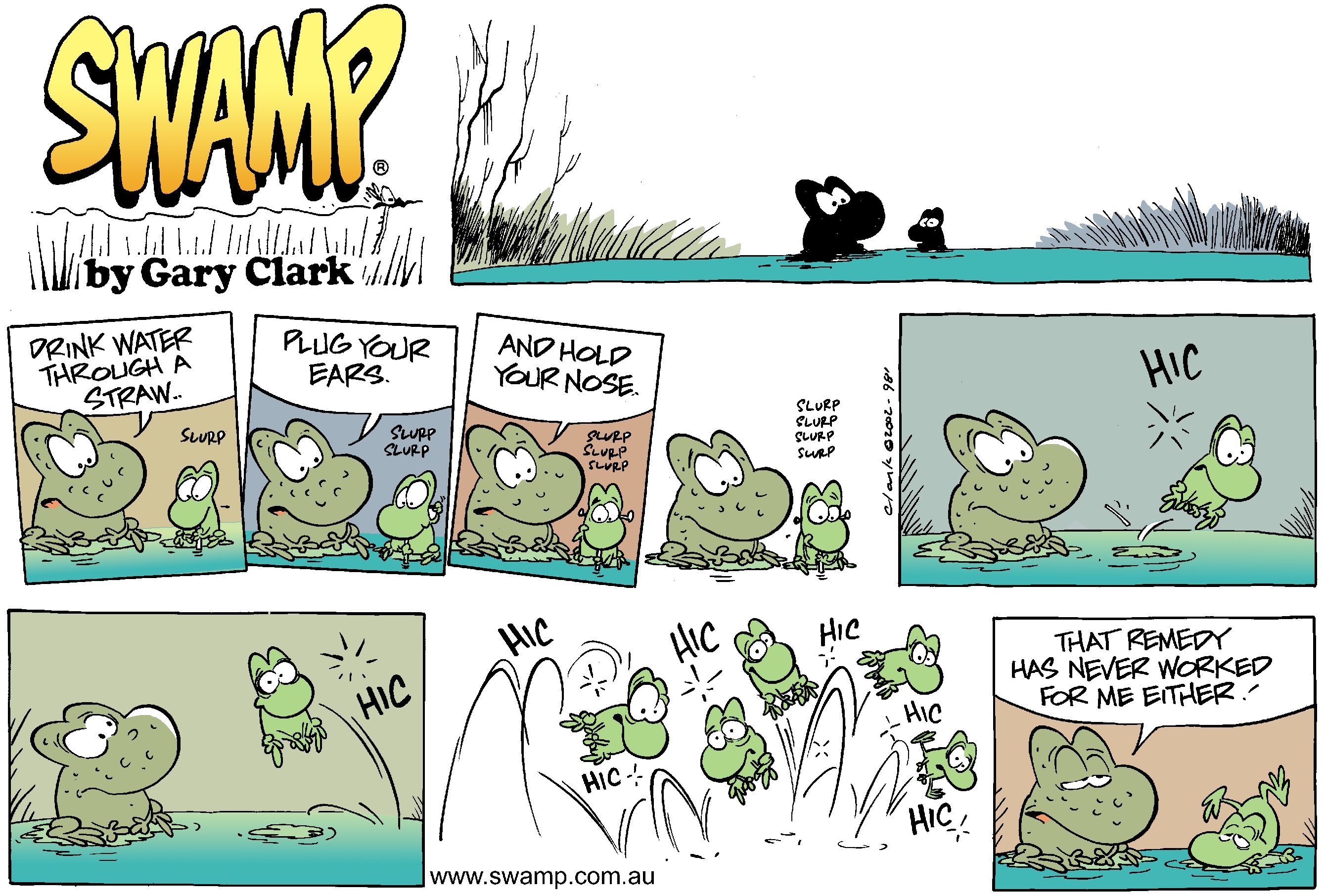 Remedies - Swamp Cartoons