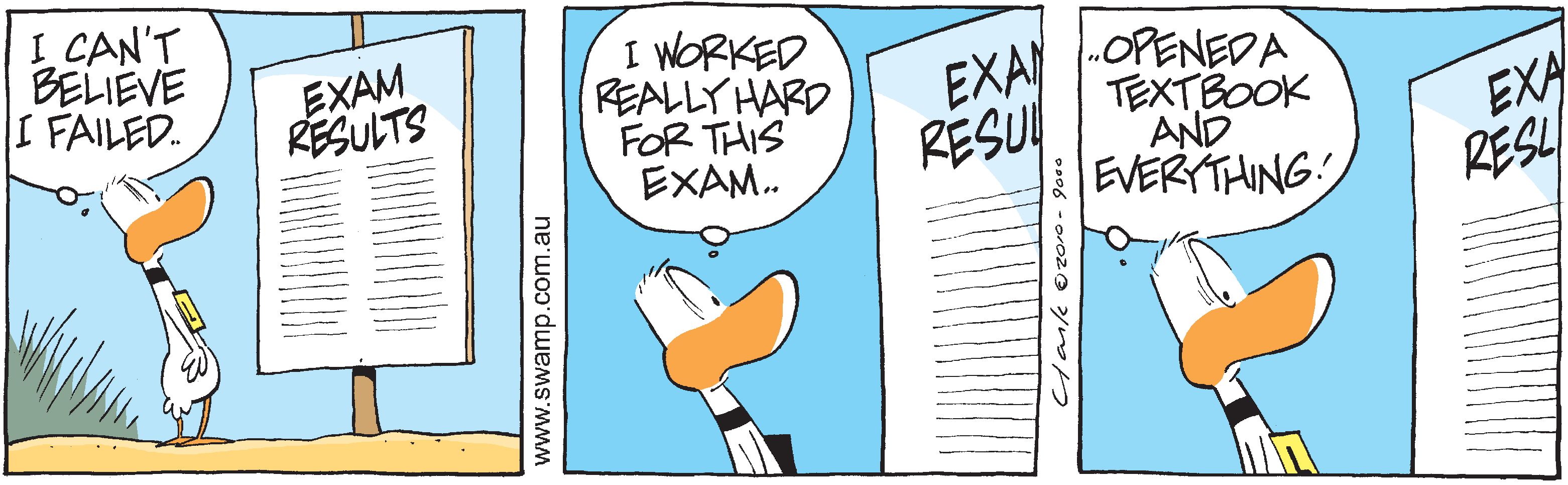 Rational Thinking - Swamp Cartoons