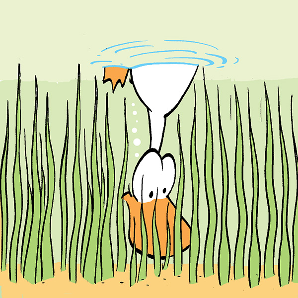 Downunder Swamp Worms | Swamp Cartoons