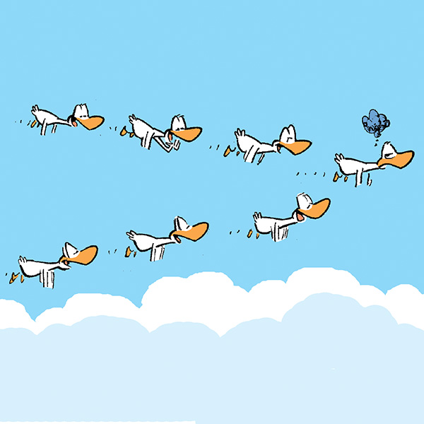 Aviator Ducks | Swamp Cartoons