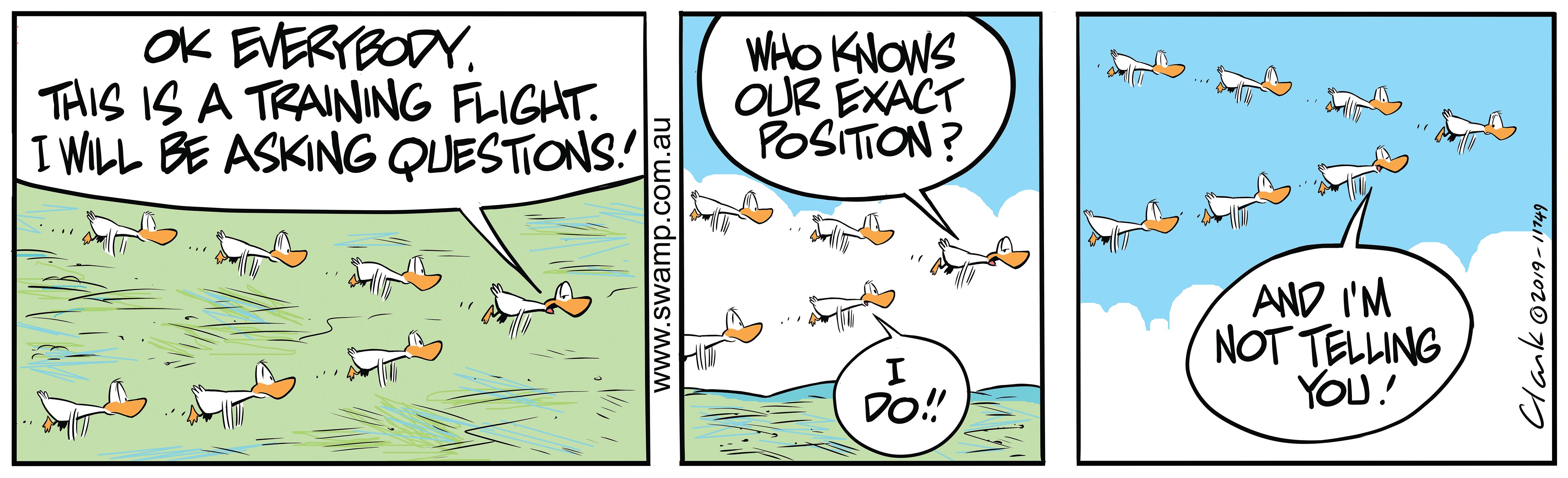 Aviator Ducks Training Flight - Swamp Cartoons