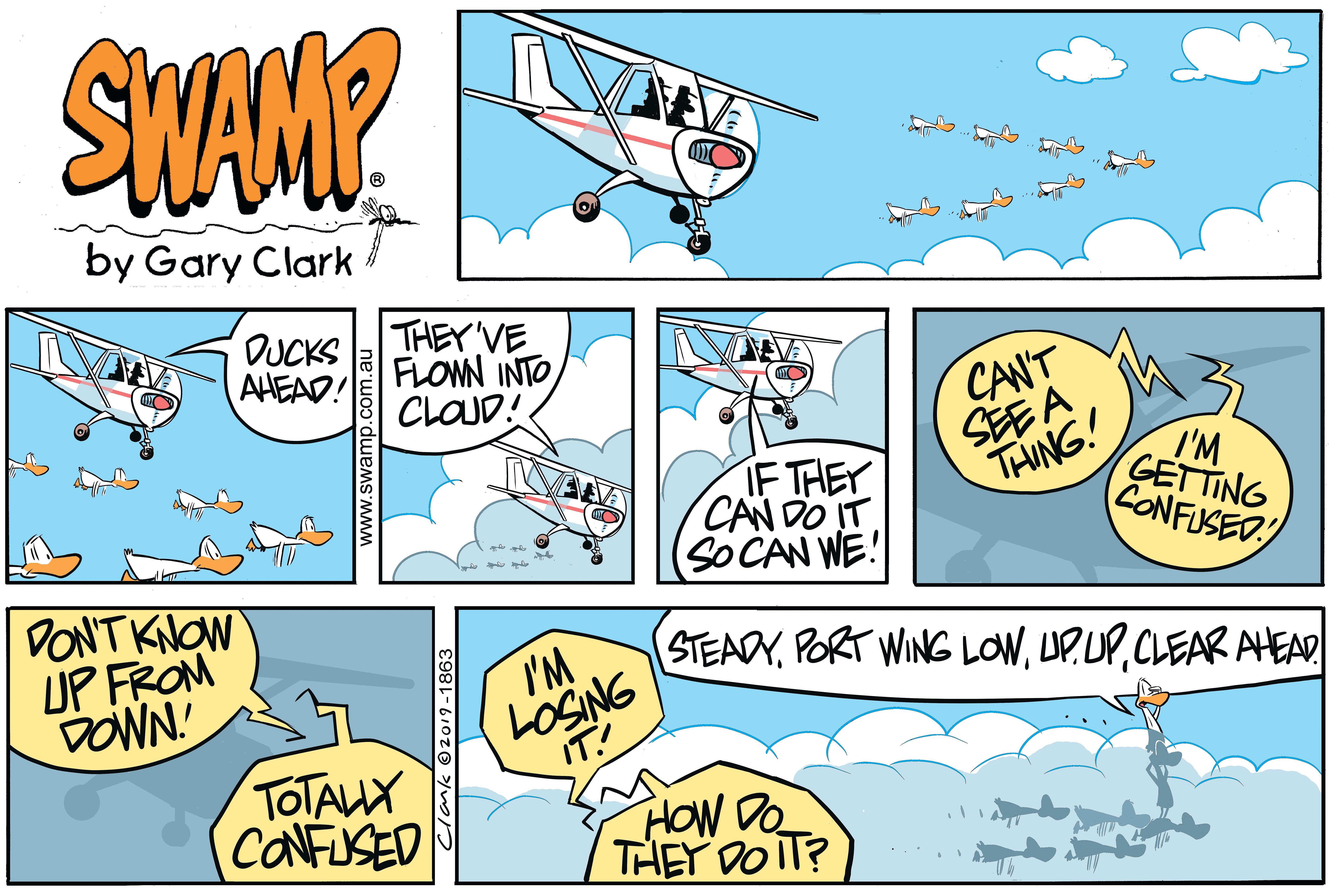 Aviator Ducks Fly into Cloud - Swamp Cartoons
