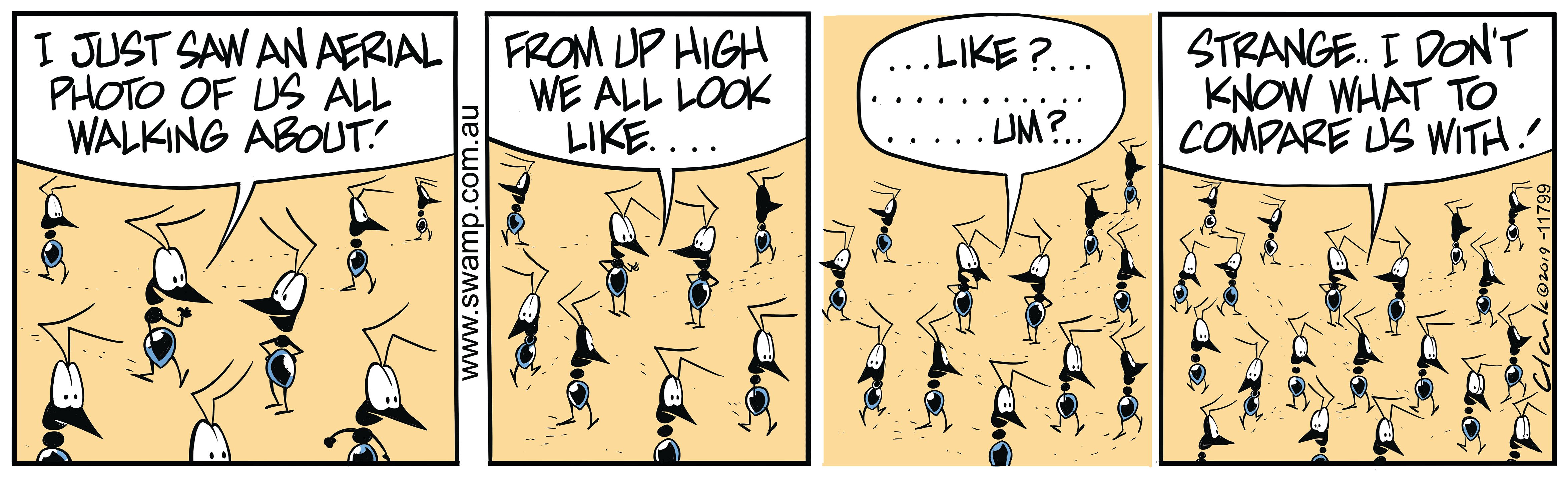 Aerial Photo of Ants - Swamp Cartoons