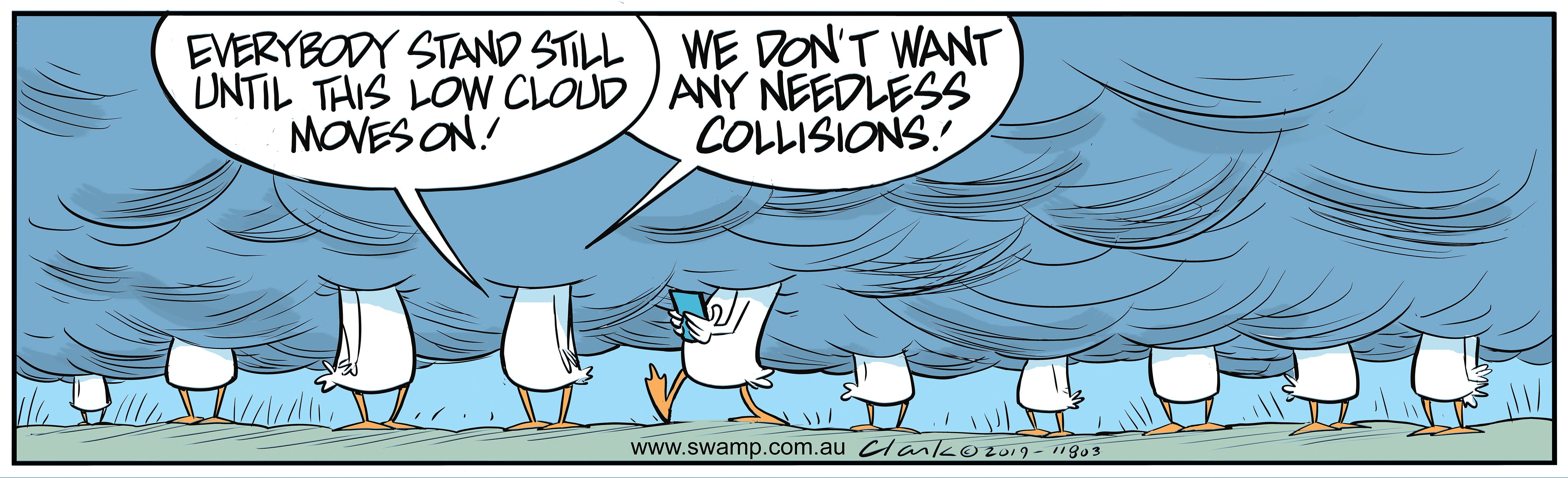 Aviator Ducks Stand Still - Swamp Cartoons