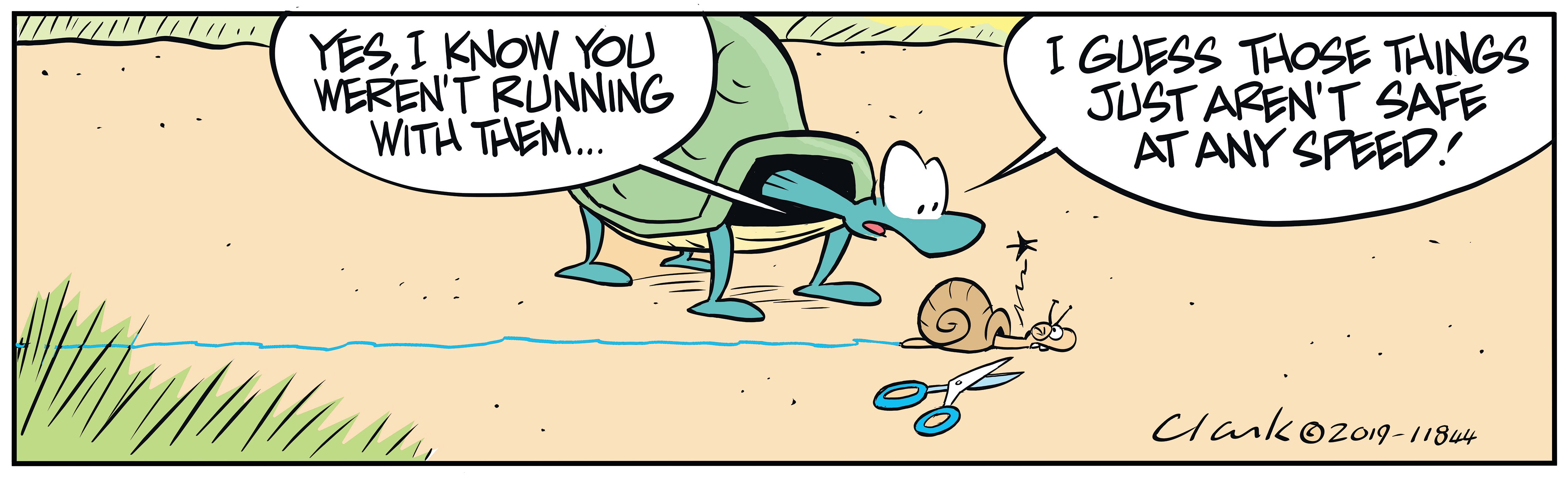 Turtle & Snail - Swamp Cartoons