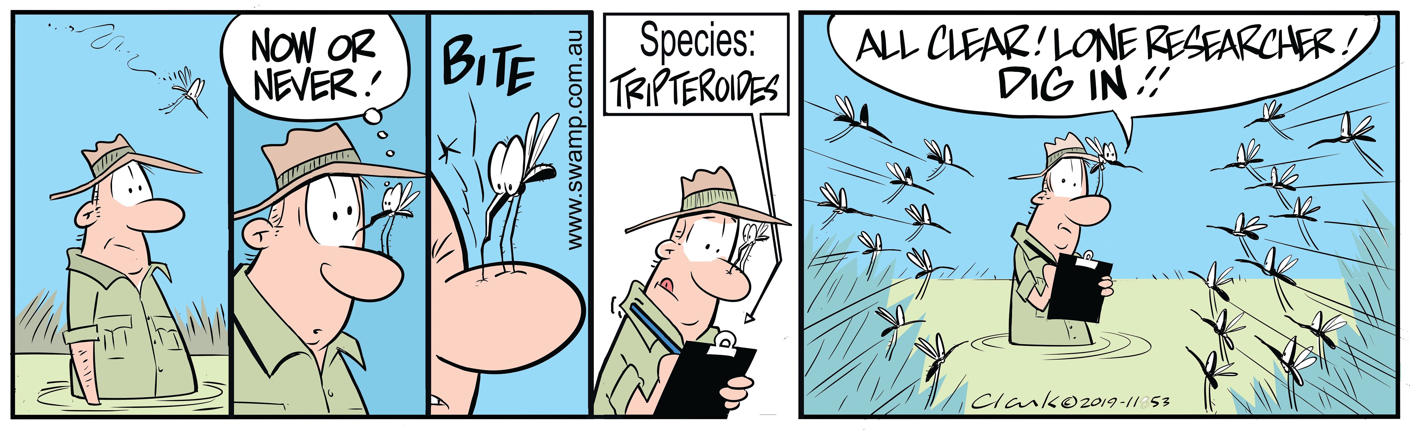 Mosquito Performs Reconnoiter - Swamp Cartoons