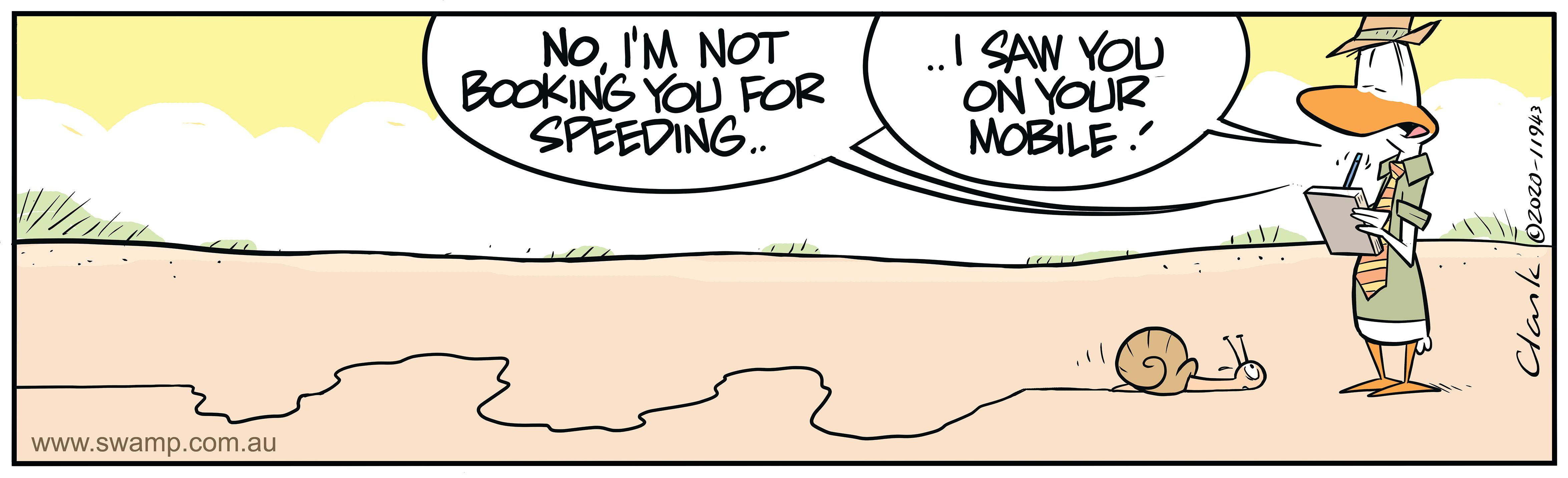 Turtle & Snail - Swamp Cartoons