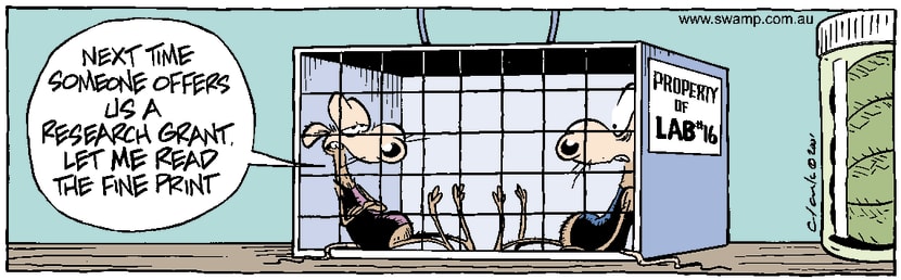 Lab Rat 4 - Swamp Cartoons