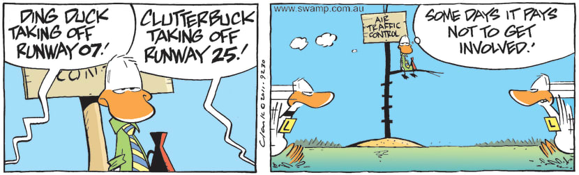 Air Traffic Control Incident Comic - Swamp Cartoons