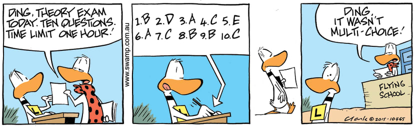 Ding Duck Multiple Choice Comic - Swamp Cartoons
