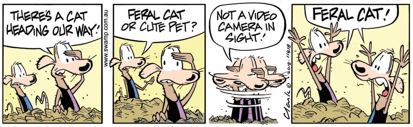 Swamp Rats Feral Cat Comic - Swamp Cartoons