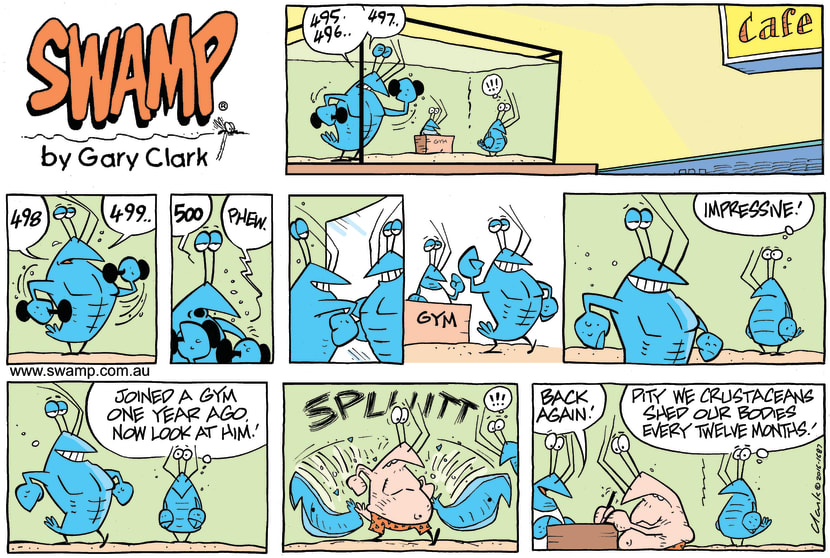 Admiring Six Pack - Swamp Cartoons