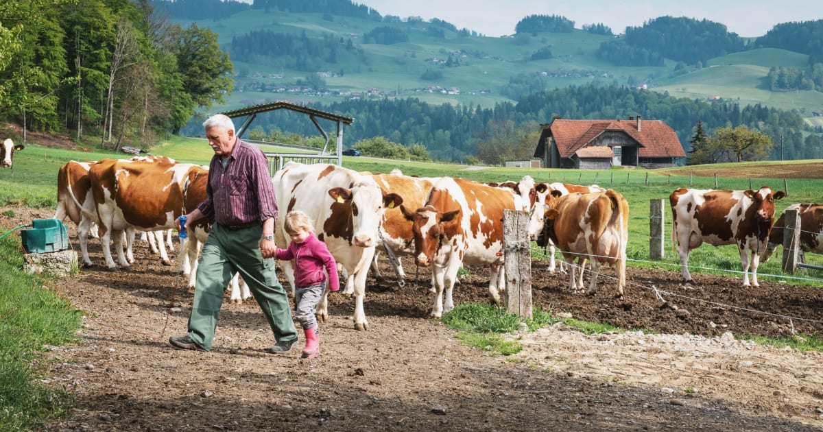 Der Zuschlag ist entscheidend | Swissmilk