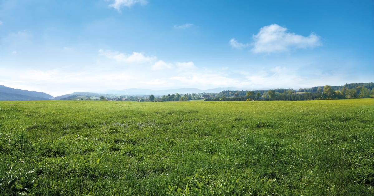 Die Kuh und der ökologische Kreislauf | Swissmilk