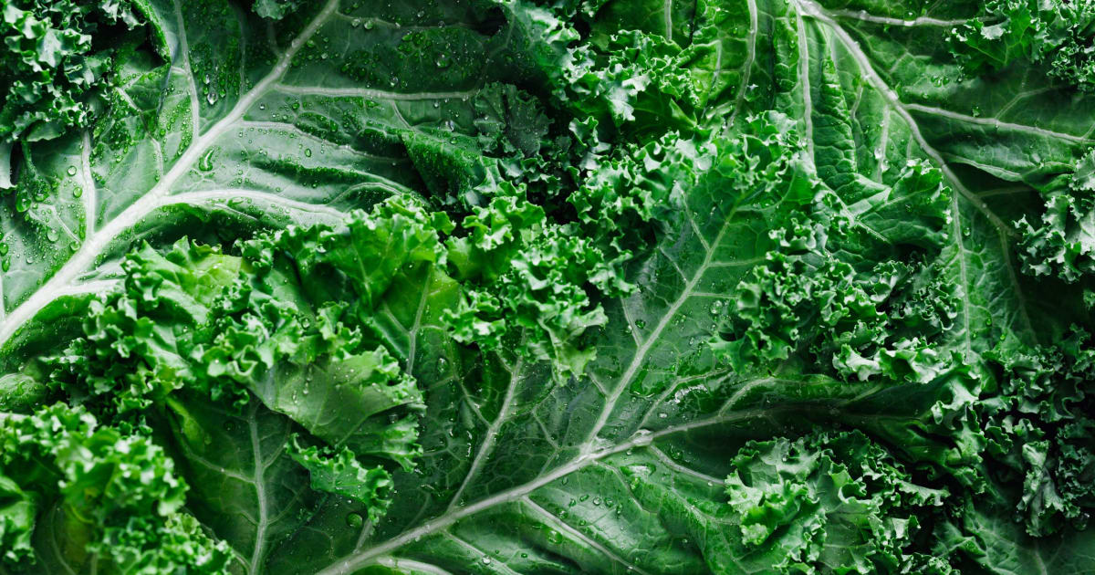 Federkohl (Kale): Jetzt Saison? | Swissmilk